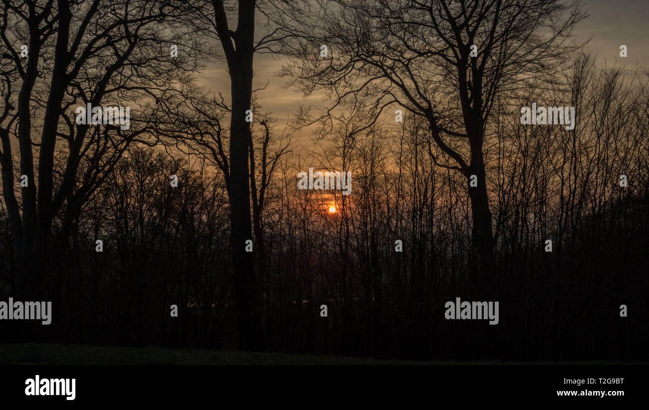 Sunset at Longleat Stock Photo - Alamy