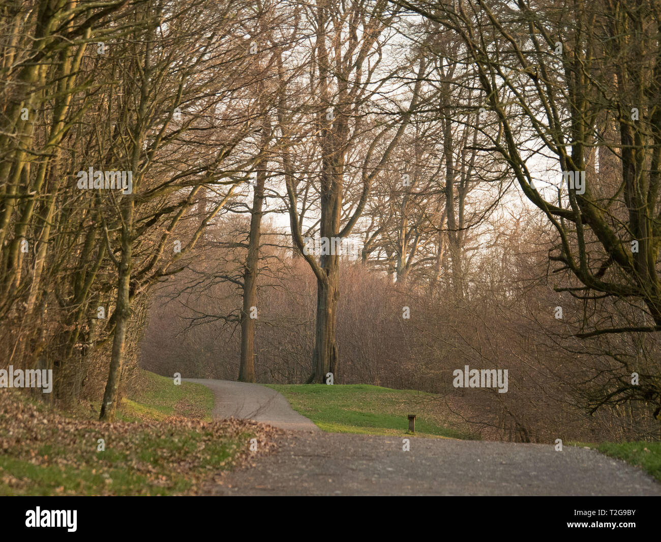 Sunset at Longleat Stock Photo - Alamy