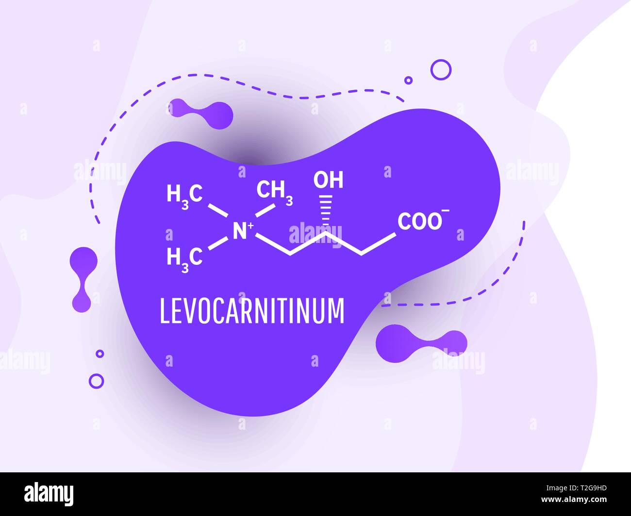 Structural chemical molecular formula and model of Carnitine Stock ...
