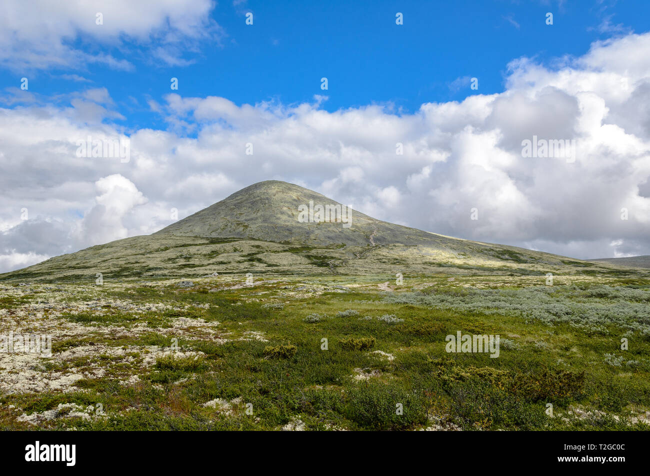 Rondane National Park Stock Photo - Alamy