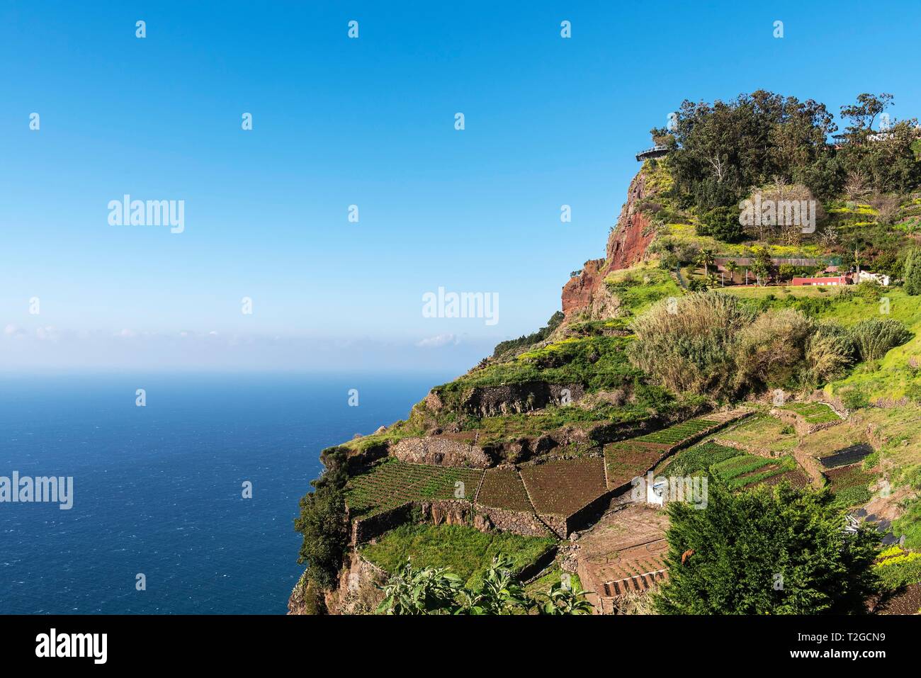 Viewing platform at the steep coast, Cabo Girao, south coast, Madeira ...