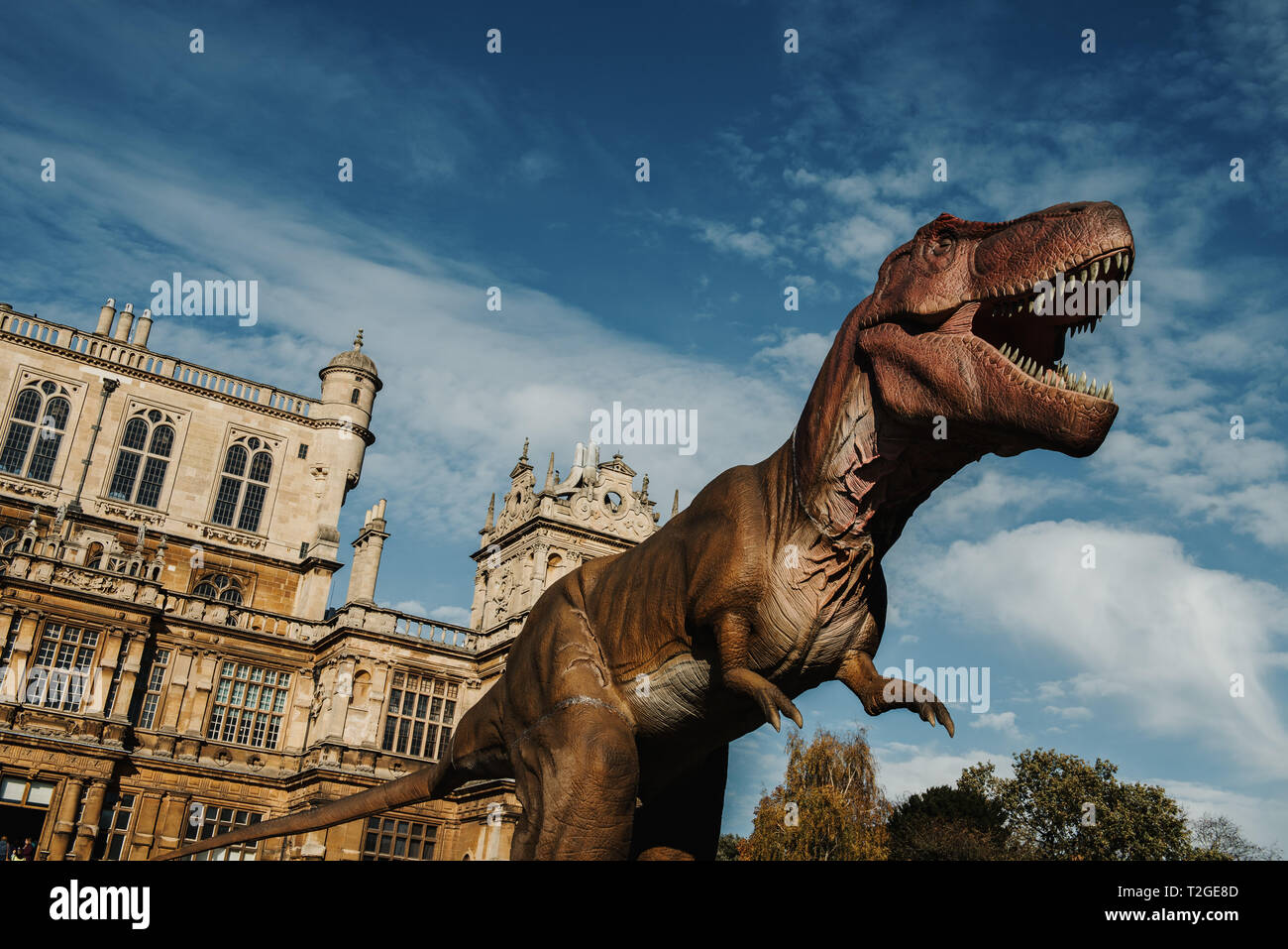 Giant T Rex model outside stately home Stock Photo - Alamy