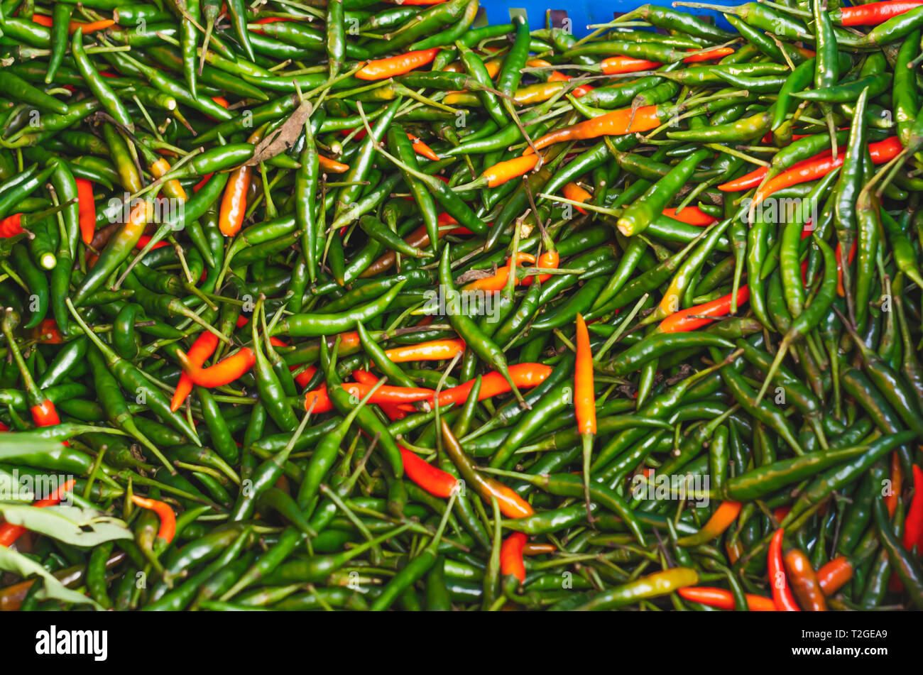 image of spicy chili pepper small red and orange green colors on sale ...