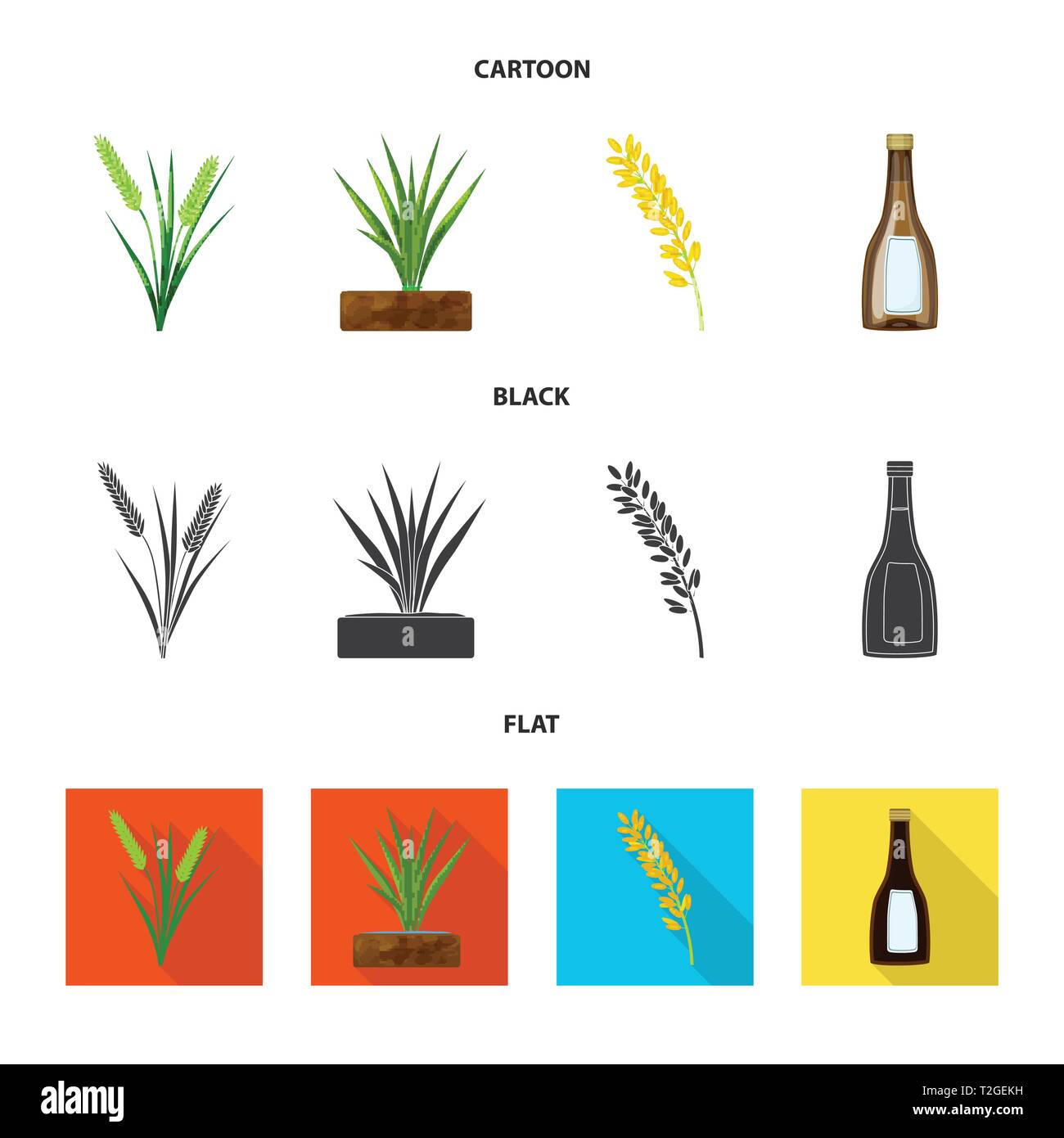 grain,panicle,spikelet,sauce,rice,soy,leaf,cereal,field,bottle,garden ...