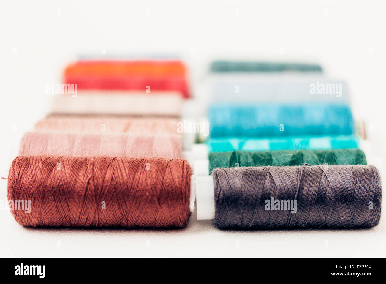 Colored sewing thread coils on white background with copy space for ...