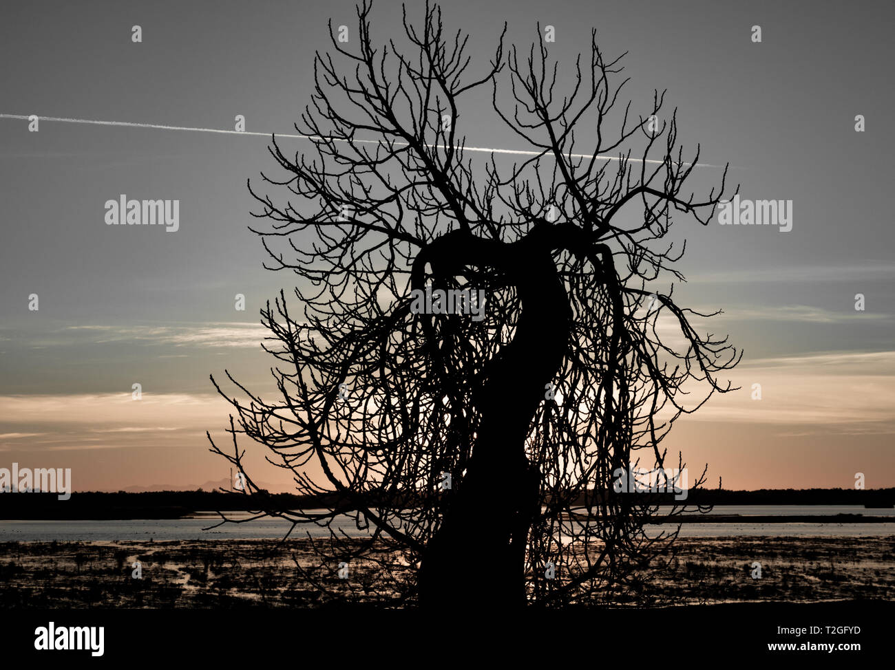 High contrast scene hi-res stock photography and images - Alamy