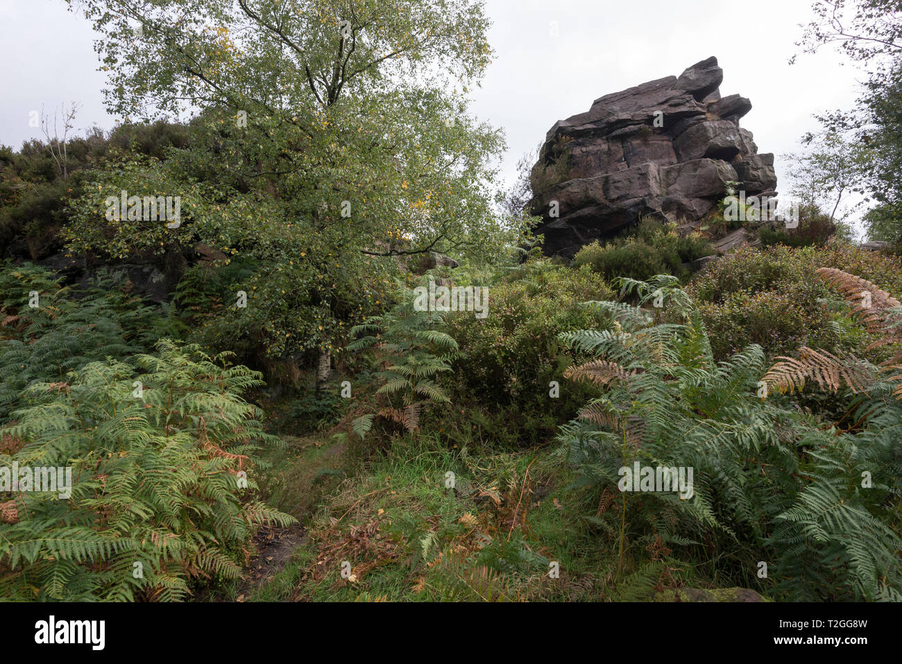 Dane valley hi-res stock photography and images - Alamy