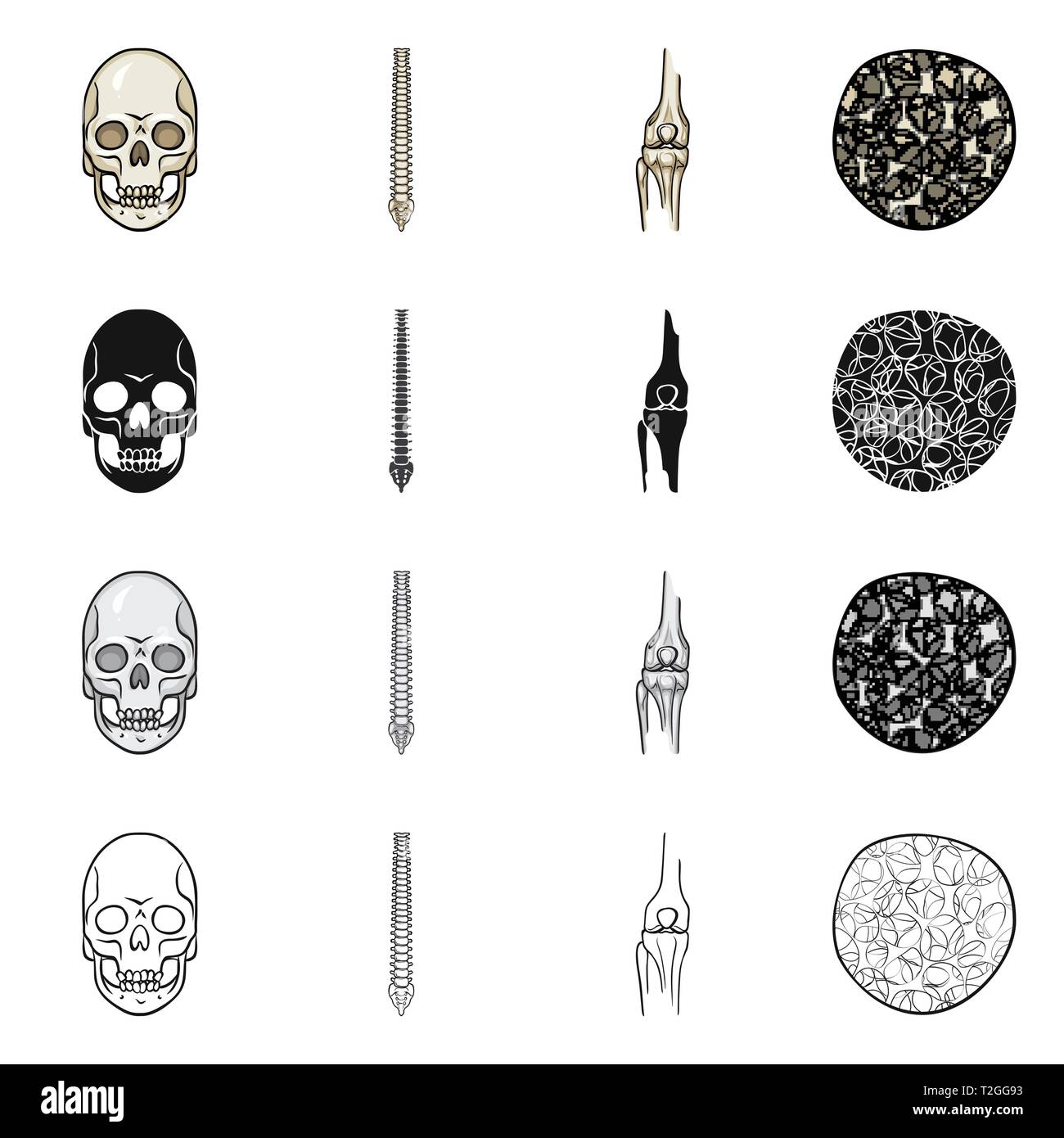 skull,spine,femur,osteoporosis,death,chiropractic,bony,cell,monster ...
