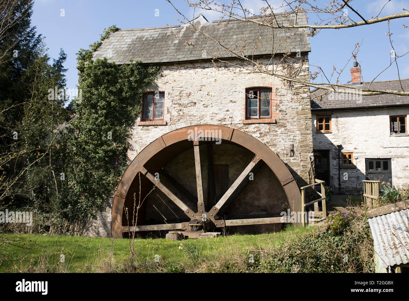 Grain Wheel High Resolution Stock Photography and Images - Alamy