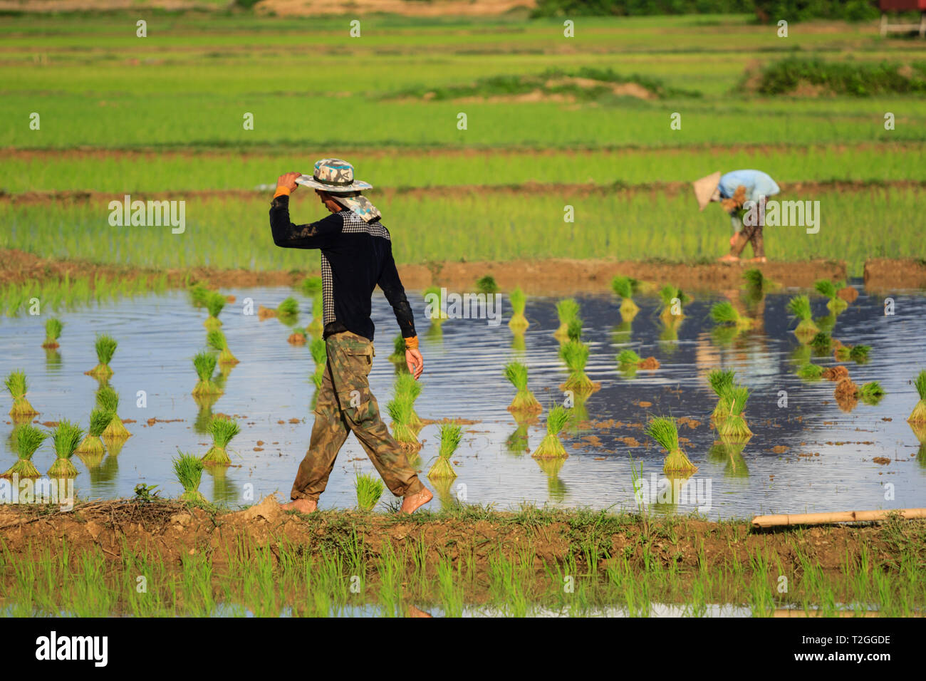 Villagers in laos hi-res stock photography and images - Alamy