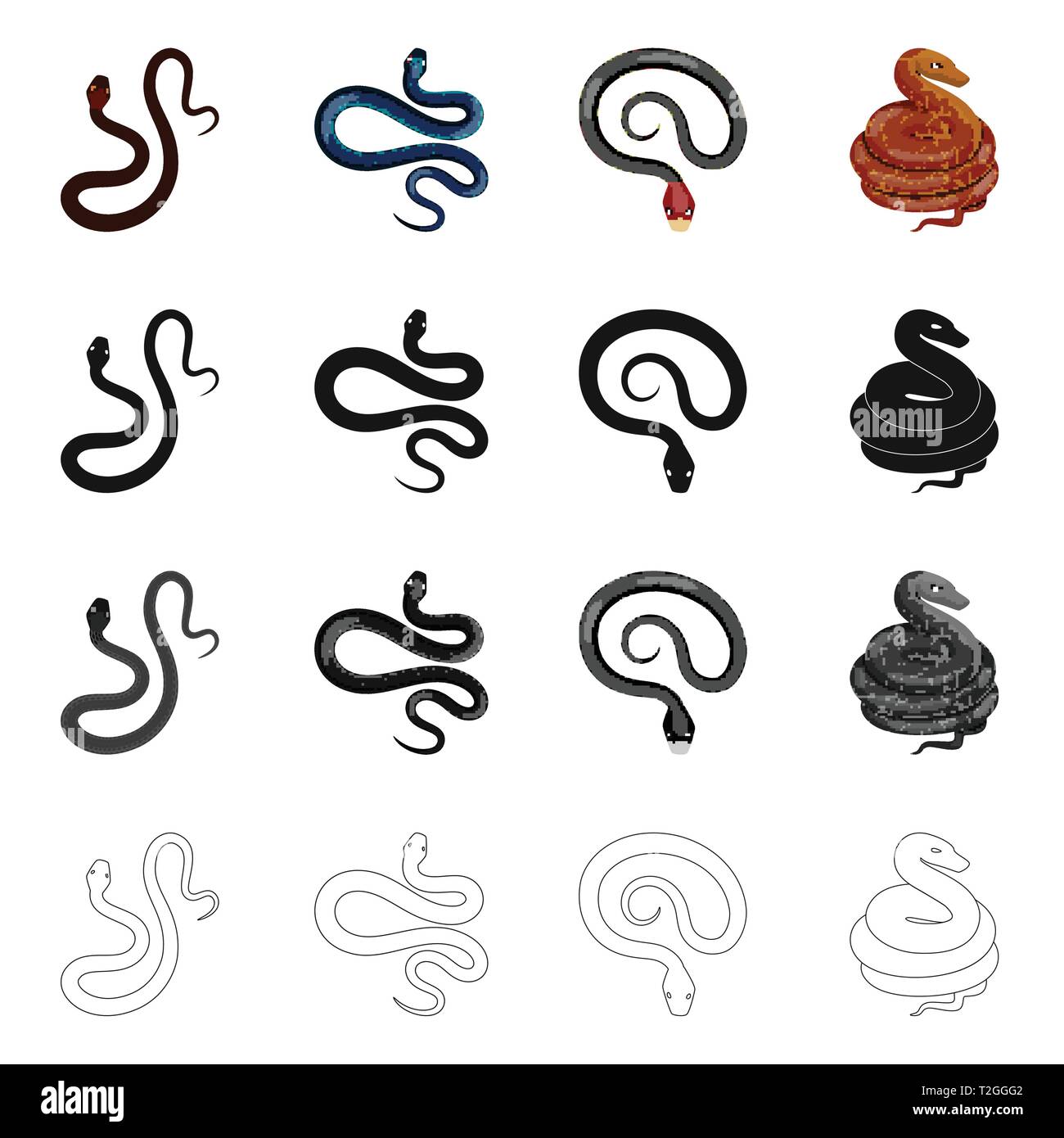 snake,amphibian,tail,anaconda,coral,python,spiral,animal,red,cobra ...