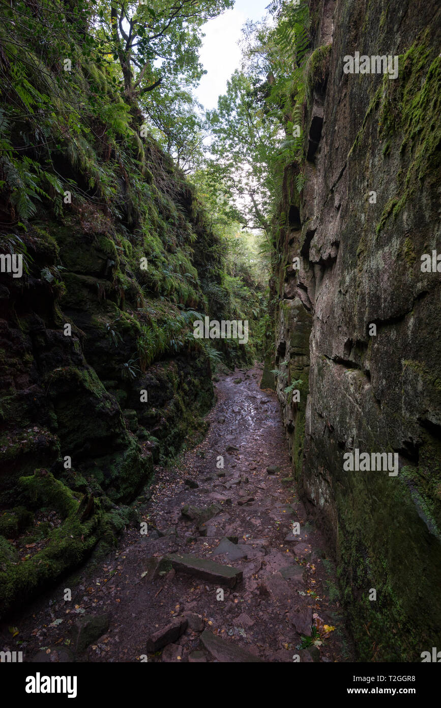 Luds Church, Gradbach, Staffordshire, England. A mysterious rocky chasm ...