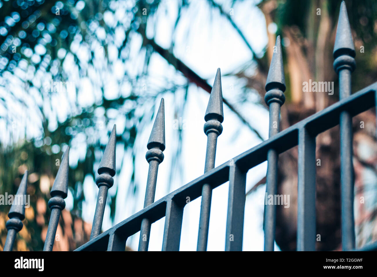 Old baroque metal sharp fence in Catania, Sicily, Italy Stock Photo - Alamy