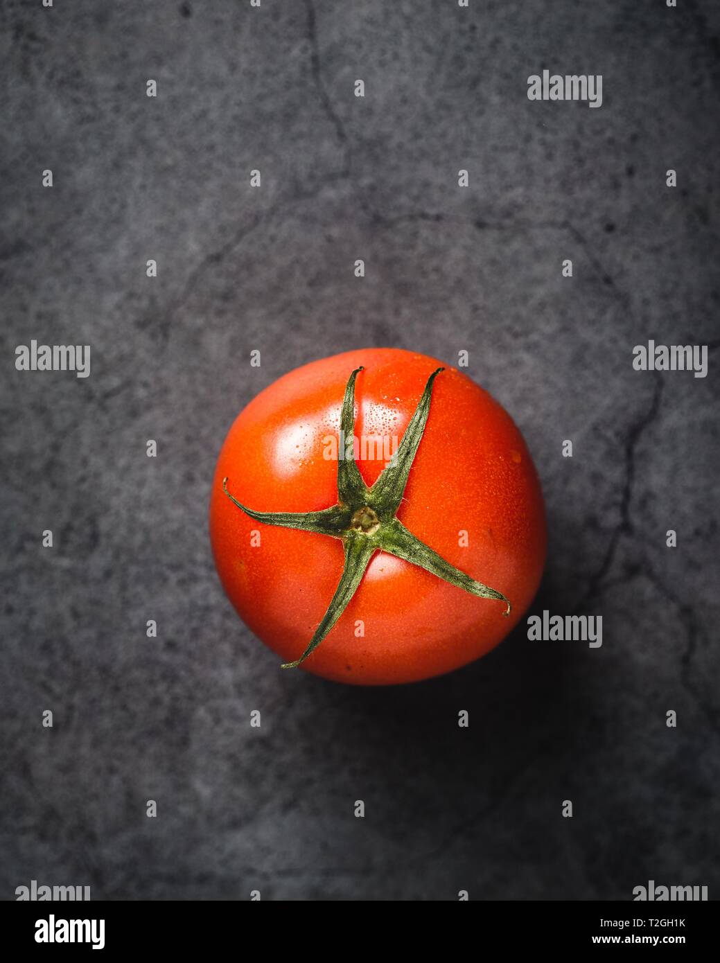 Tomato beetle hi-res stock photography and images - Alamy