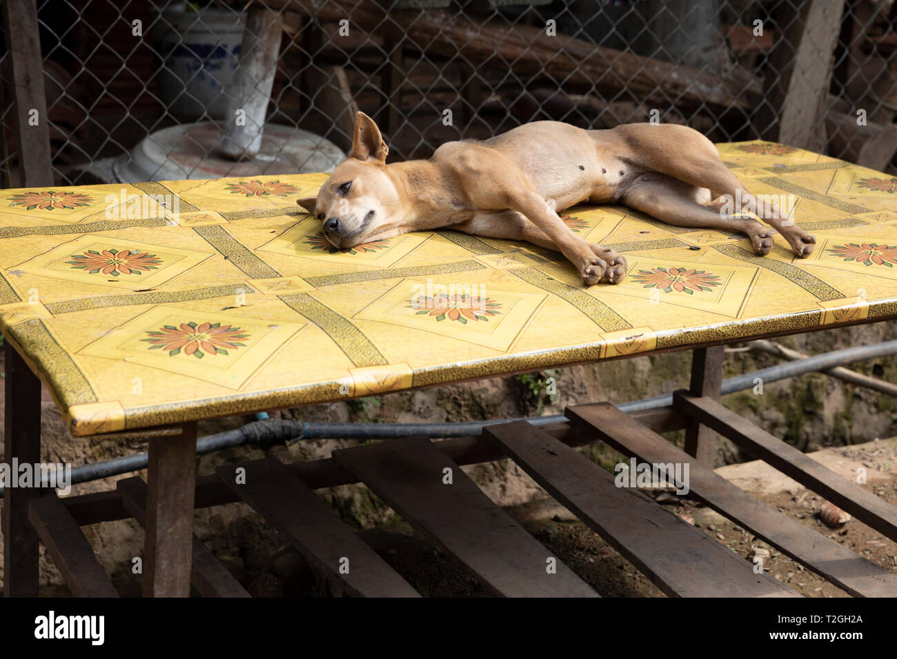 Nong khiaw laos relax hi-res stock photography and images - Alamy