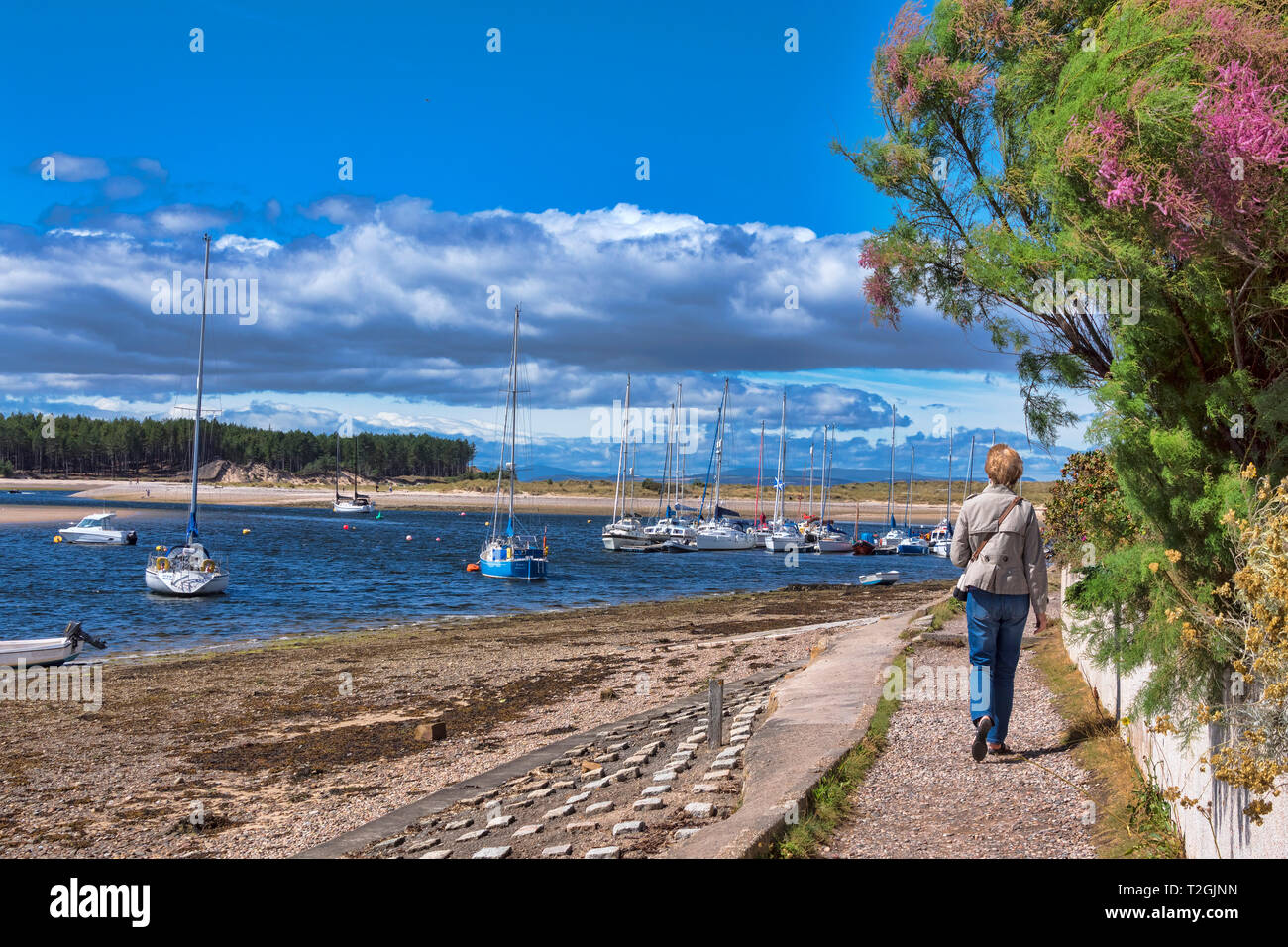 Findhorn bay scotland hi-res stock photography and images - Alamy