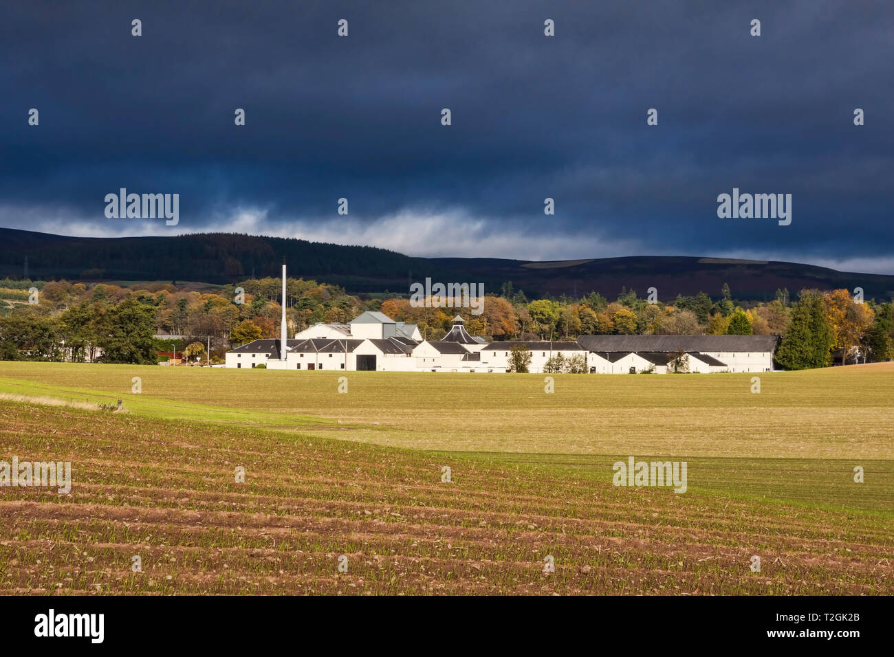 Autumn light at Fettercairn, distillery, trees, village, Aberdeenshire ...