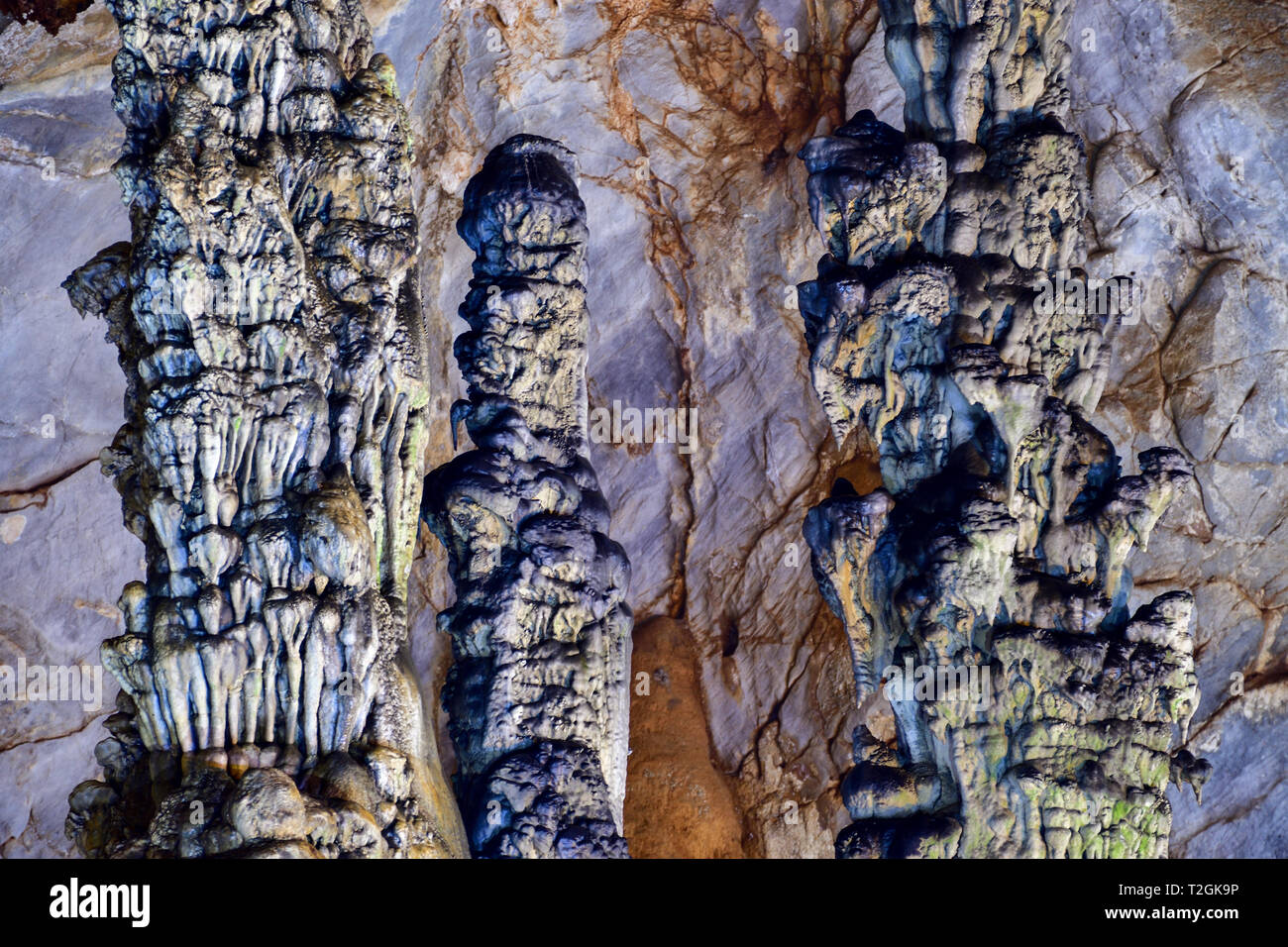 Amazing geological forms in Paradise Cave near Phong Nha, Vietnam ...