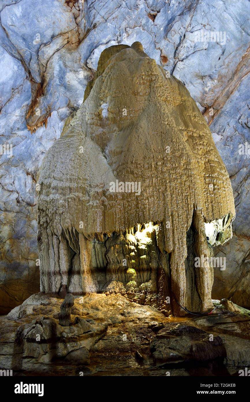 Amazing geological forms in Paradise Cave near Phong Nha, Vietnam ...