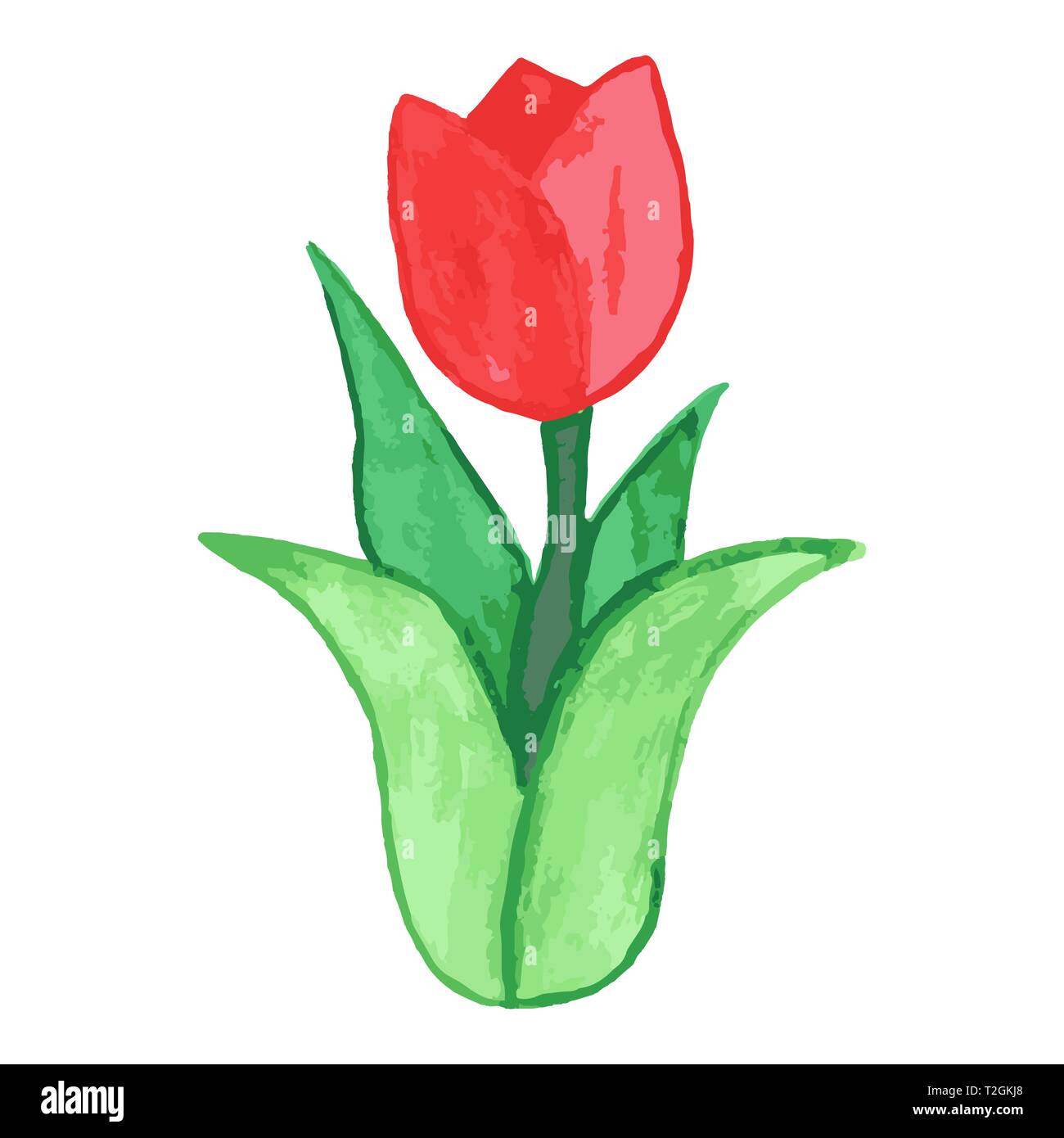 Watercolor colored Tulip flower pattern, flat design Stock Vector Image ...
