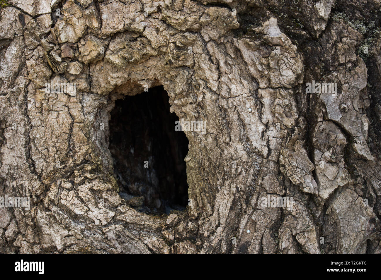 Hollow circle hi-res stock photography and images - Alamy