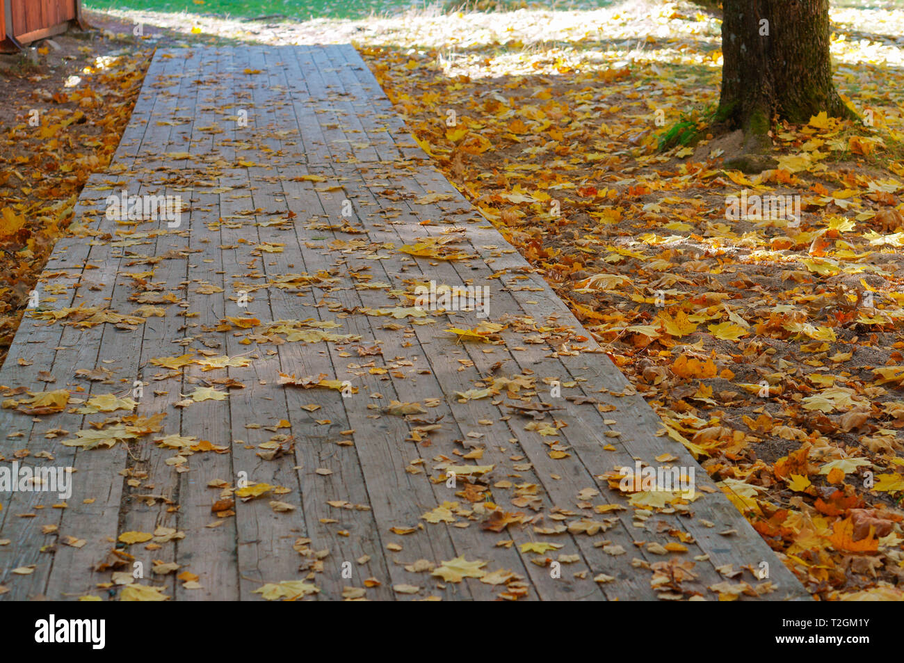 Fallen rock slabs fall hi-res stock photography and images - Alamy