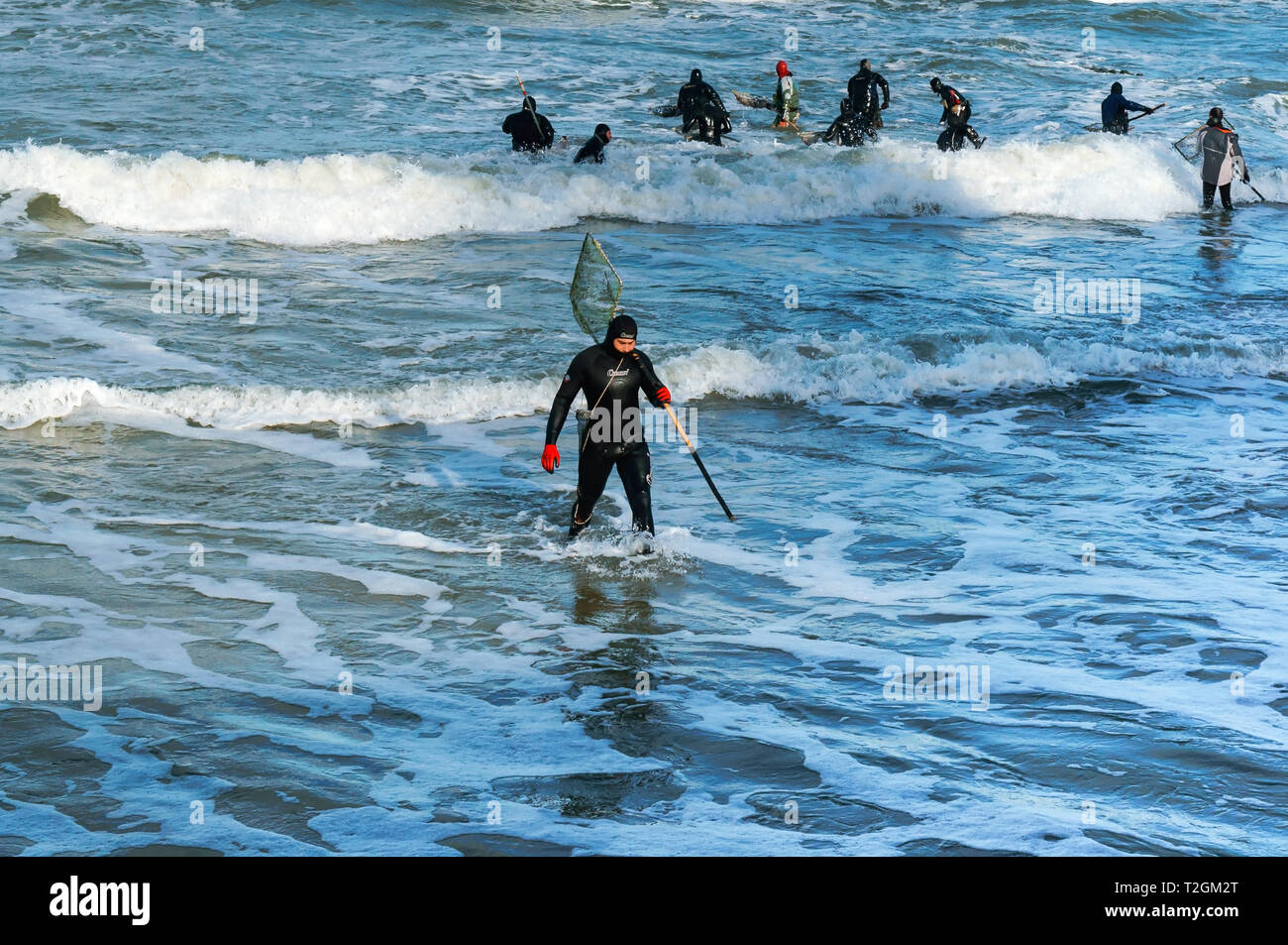 fishing for amber, people catch amber waves, the Baltic sea ...