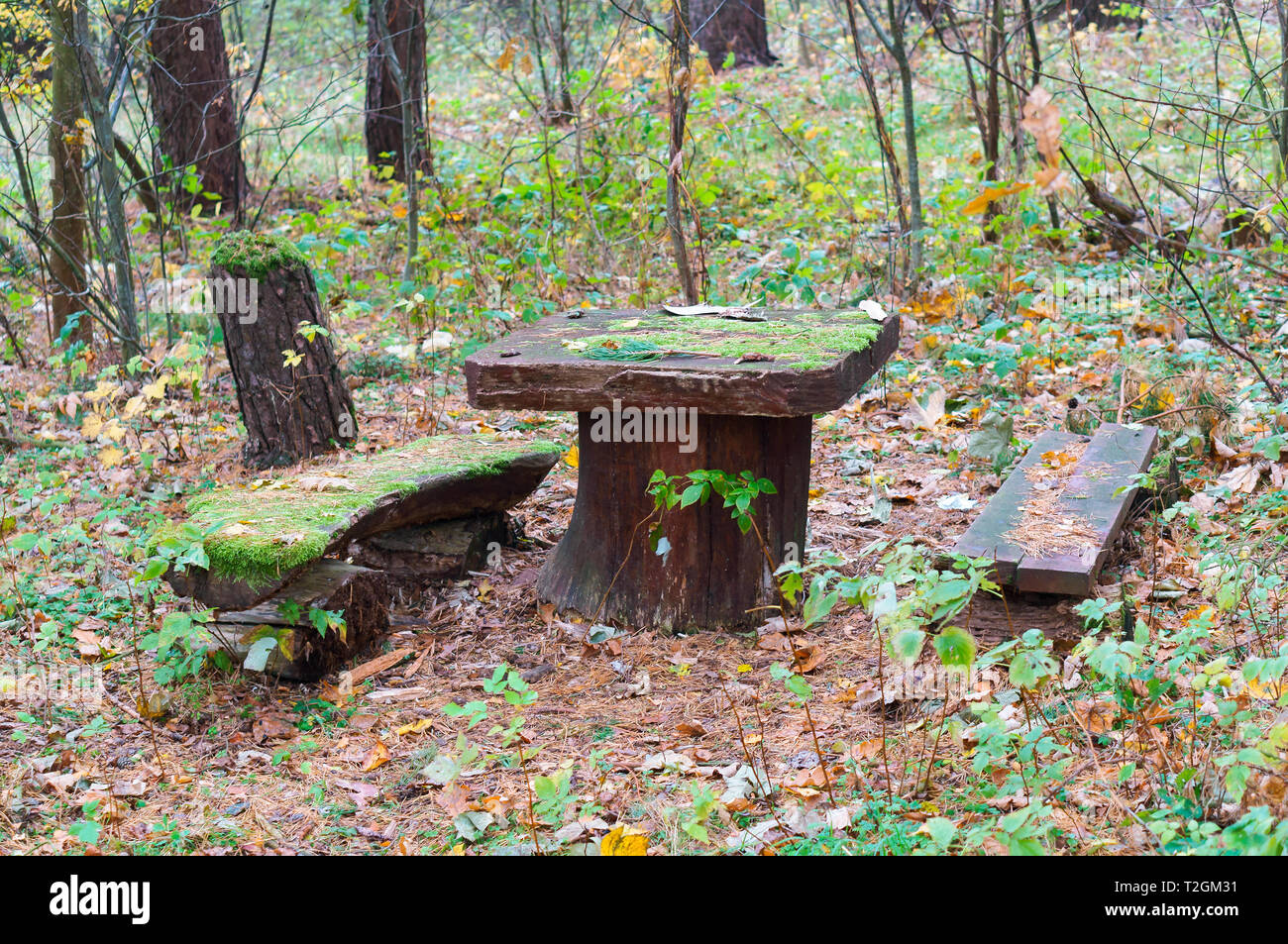 Camp table hi-res stock photography and images - Alamy