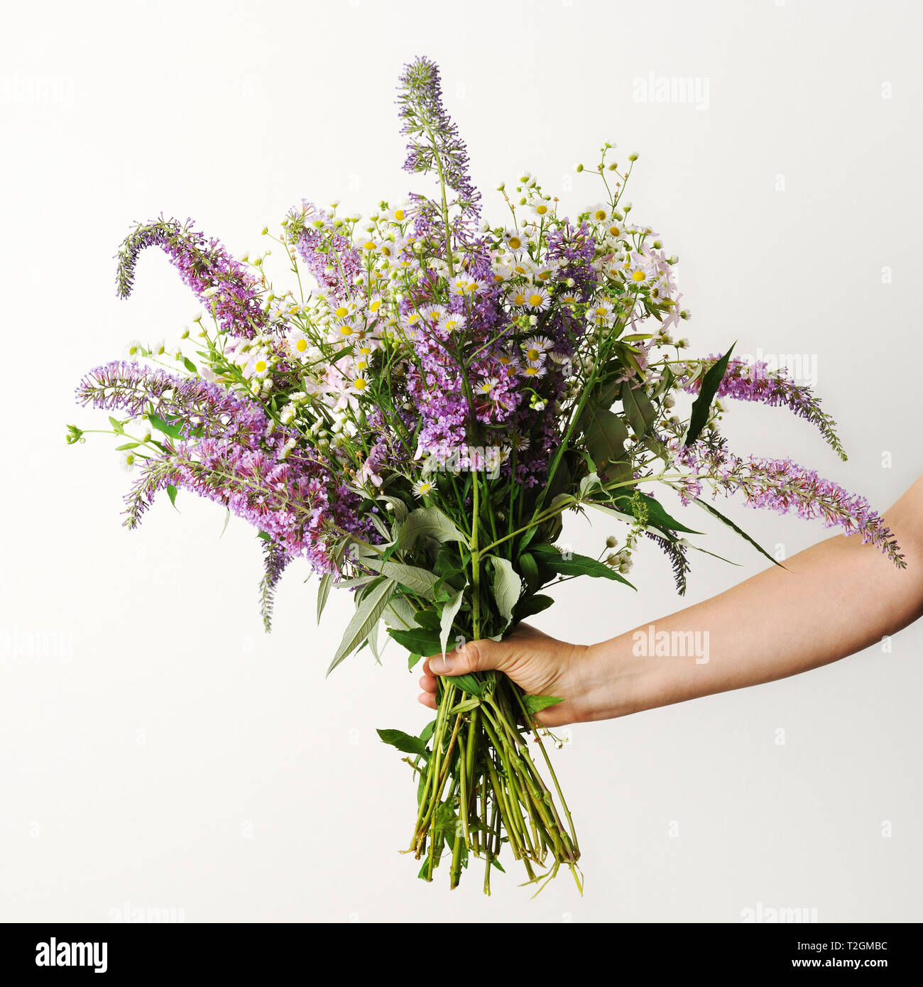 Hand holding bunch wildflowers hi-res stock photography and images - Alamy