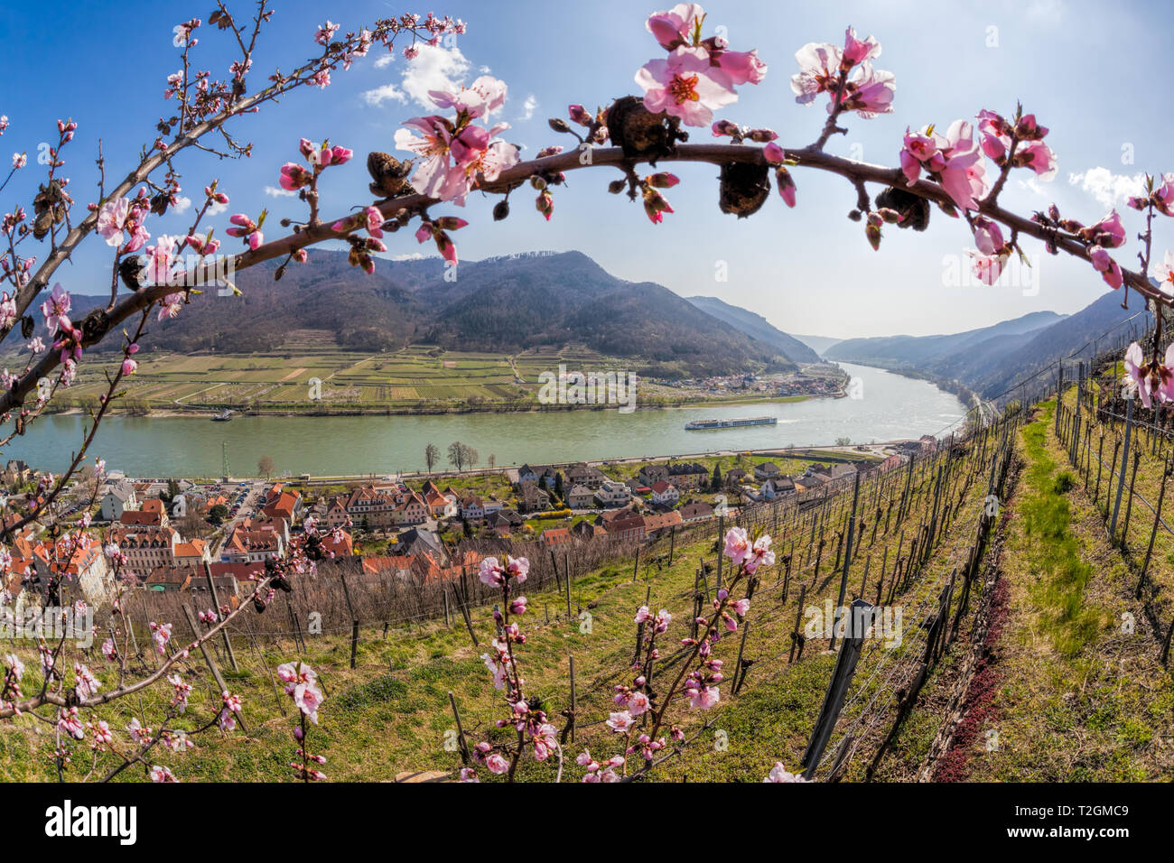 Spitz on the danube hi-res stock photography and images - Alamy
