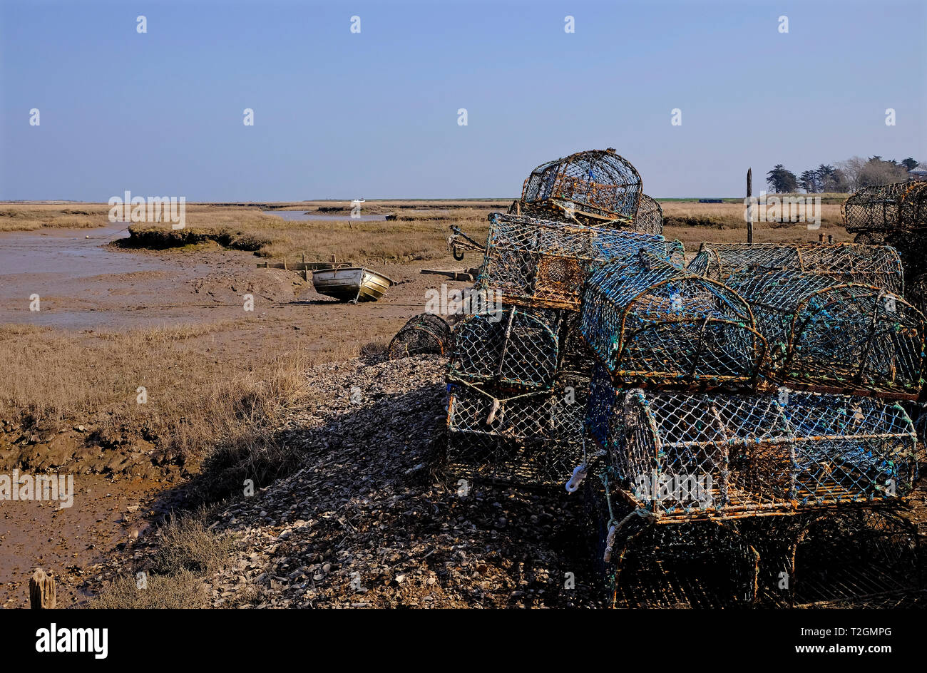 Deepdale hi-res stock photography and images - Alamy