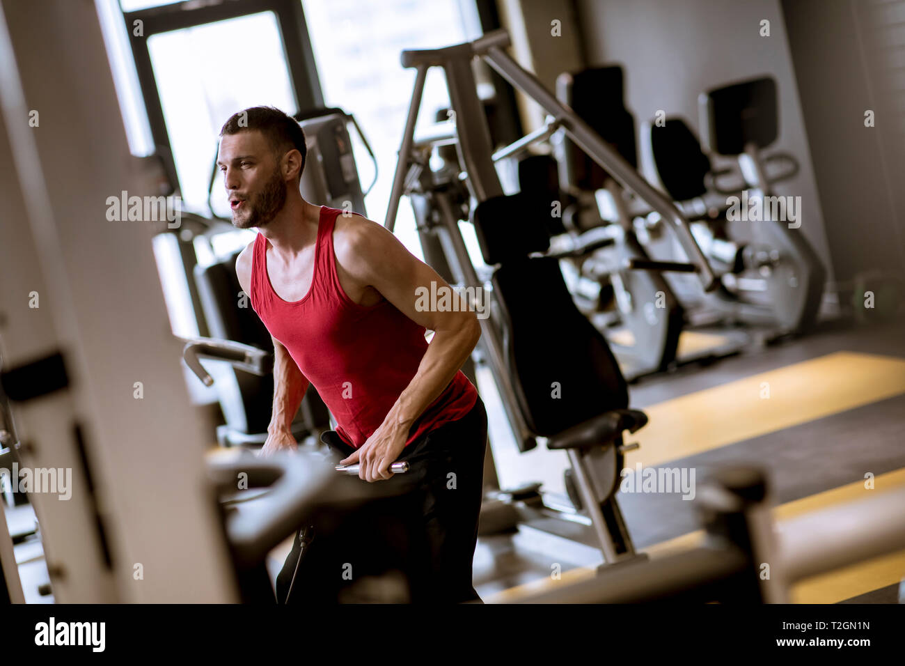 Back workouts hi-res stock photography and images - Alamy