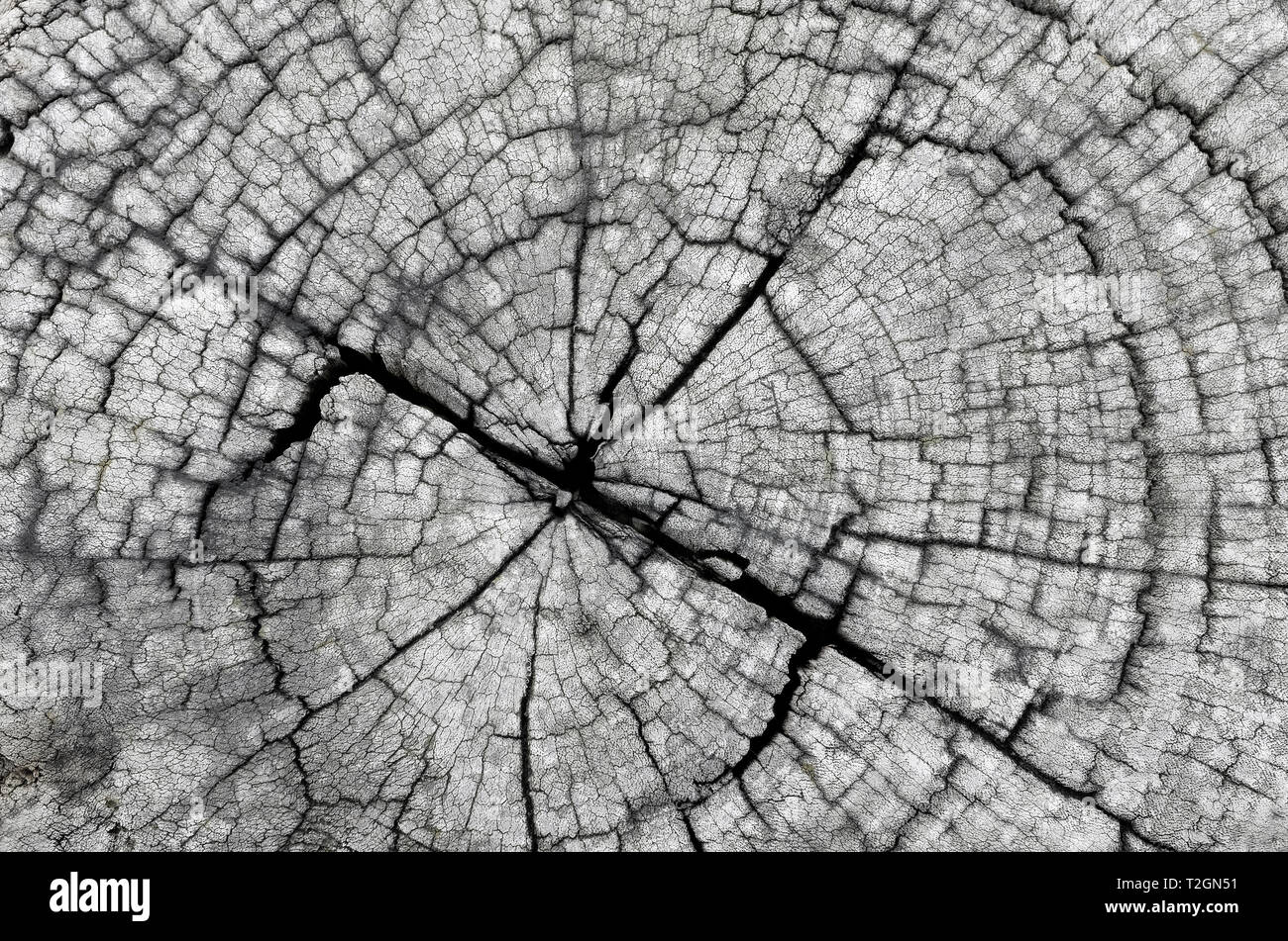 overview of old weathered timber post Stock Photo - Alamy