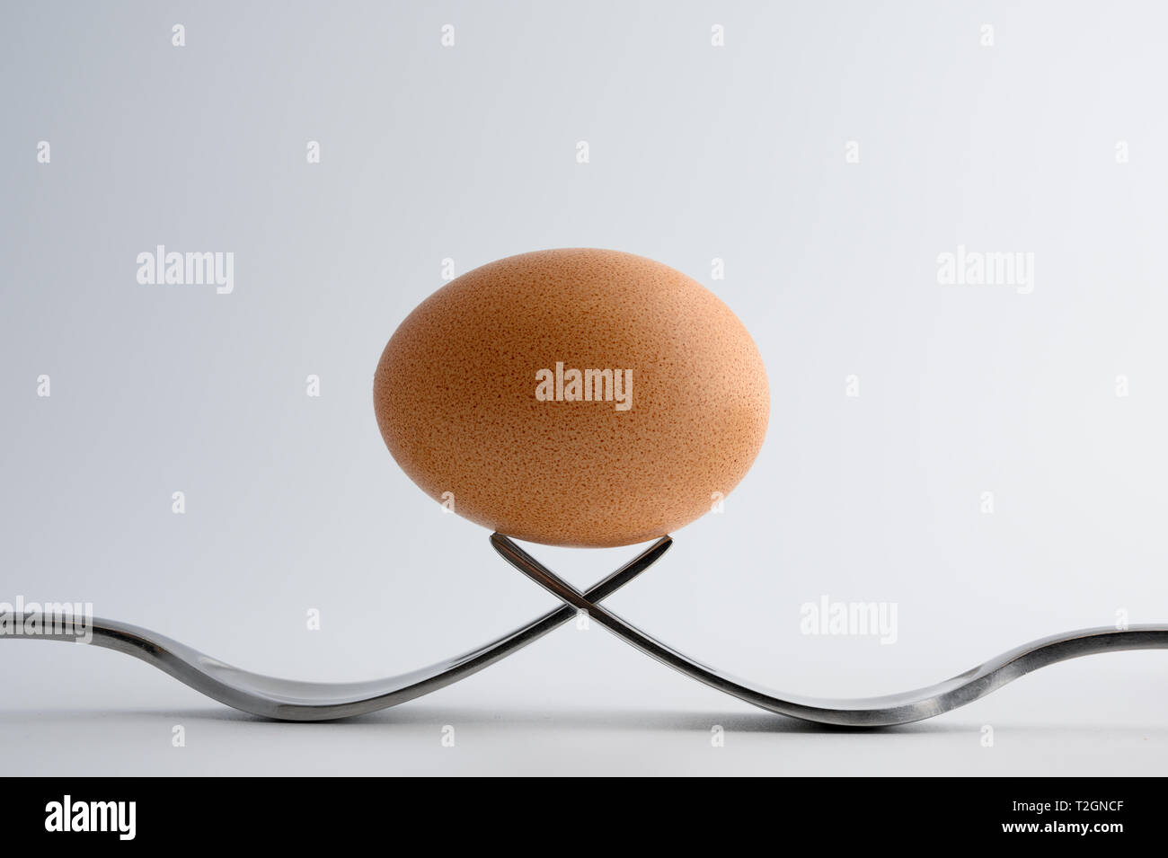 Egg in balance on two forks on white background Stock Photo - Alamy