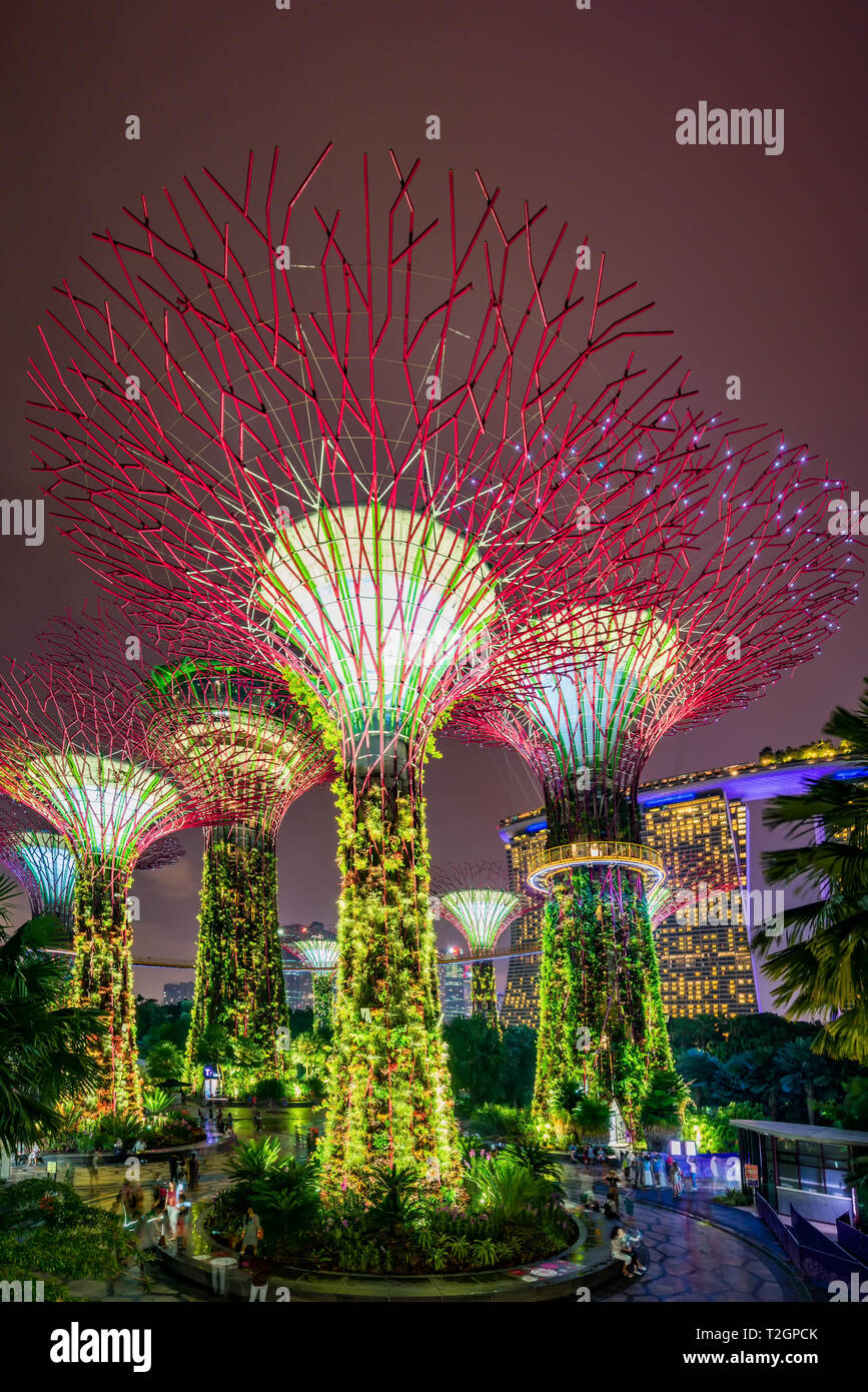 SINGAPORE CITY, SINGAPORE - FEBRUARY 03, 2019: Gardens by the bay in ...