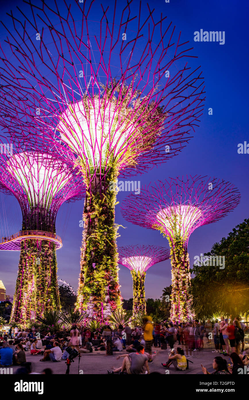 SINGAPORE CITY, SINGAPORE - FEBRUARY 03, 2019: Gardens by the bay in ...