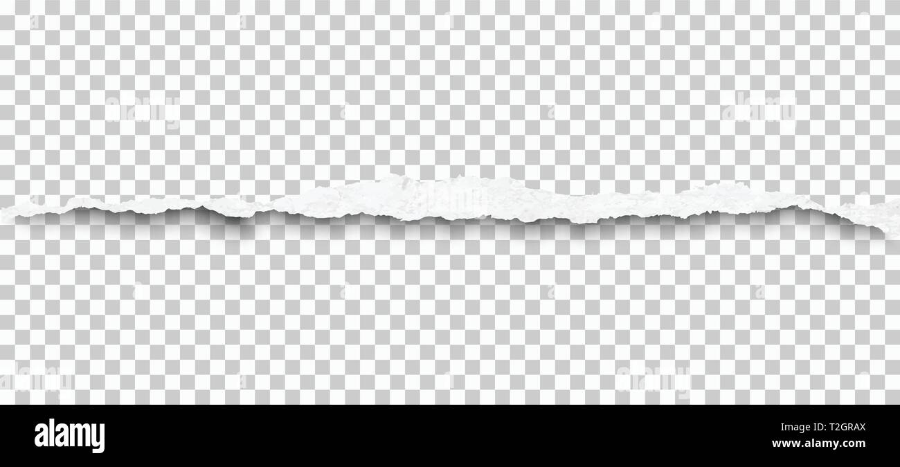 Piece of torn horizontal squared paper strip. Vector illustration Stock ...