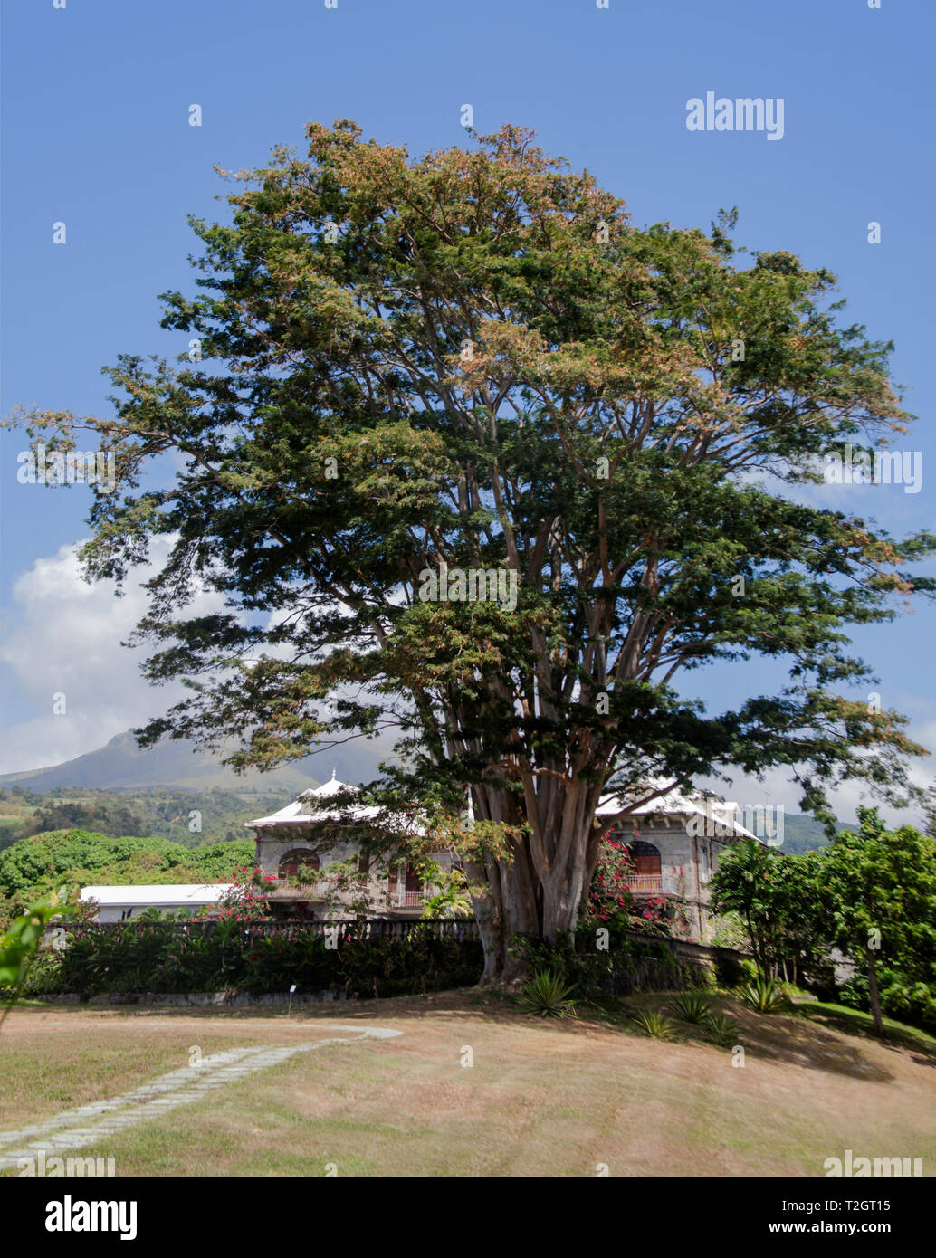 Martinique plantation house hi-res stock photography and images - Alamy