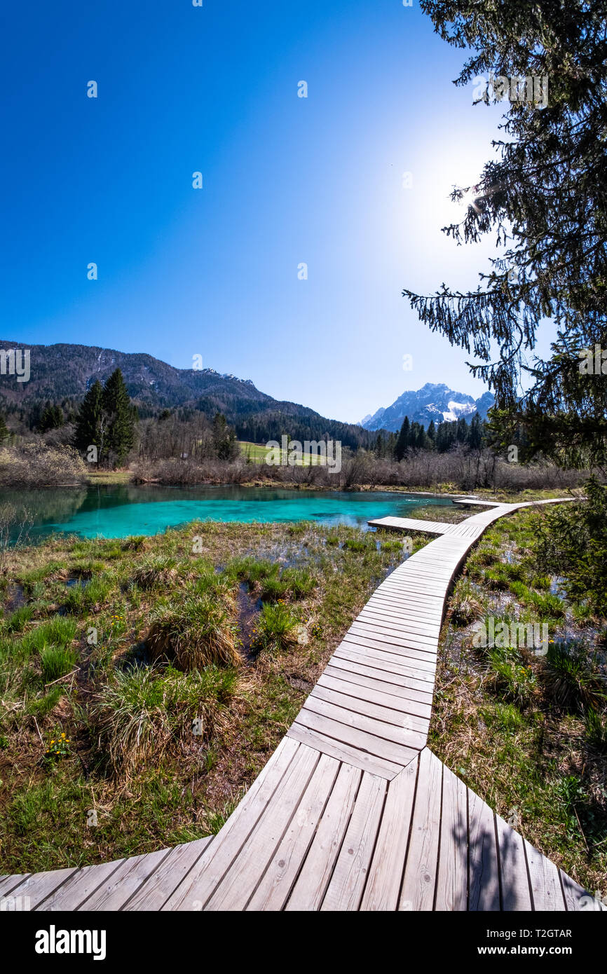 Lake Zelenci, source of the Sava Dolinka River, with the observation ...