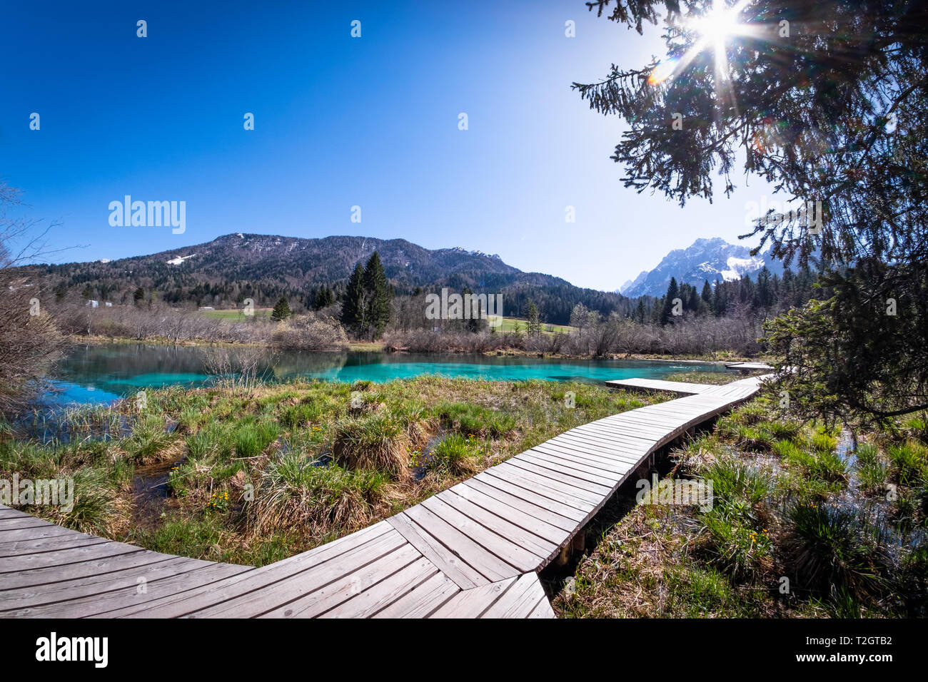 Lake Zelenci, source of the Sava Dolinka River, with the observation ...