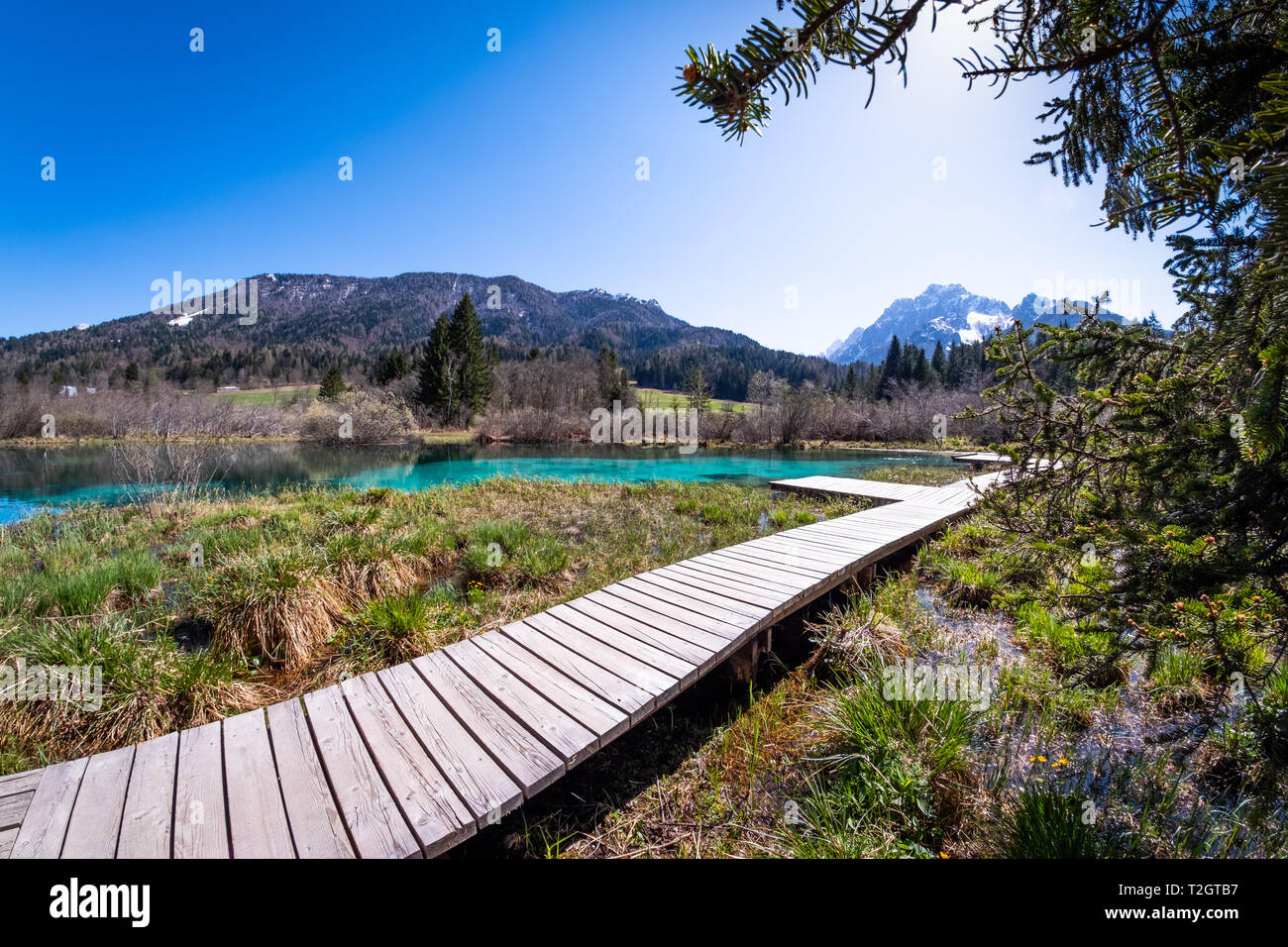 Lake Zelenci, source of the Sava Dolinka River, with the observation ...