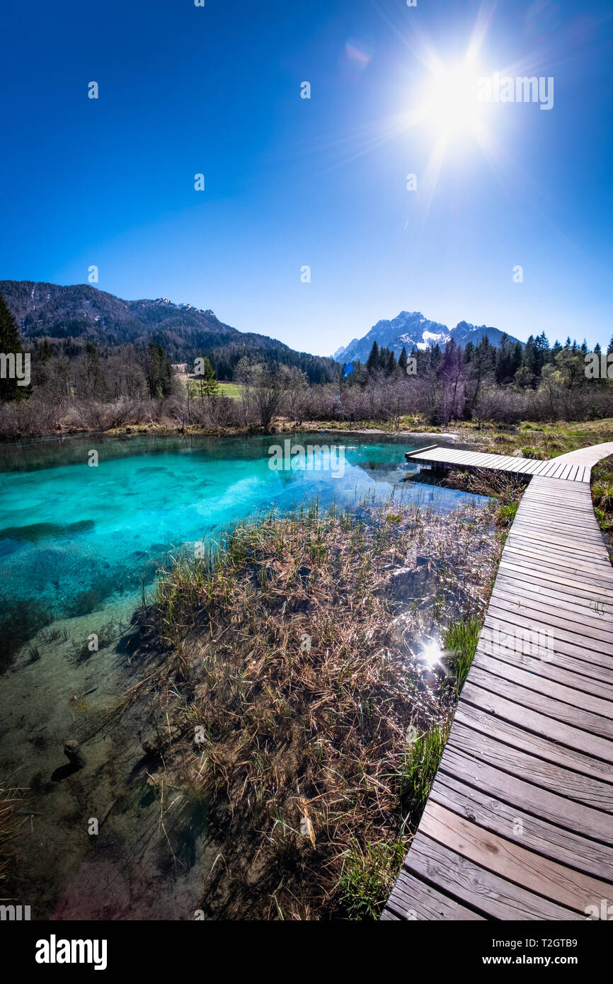 Lake Zelenci, source of the Sava Dolinka River, with the observation ...