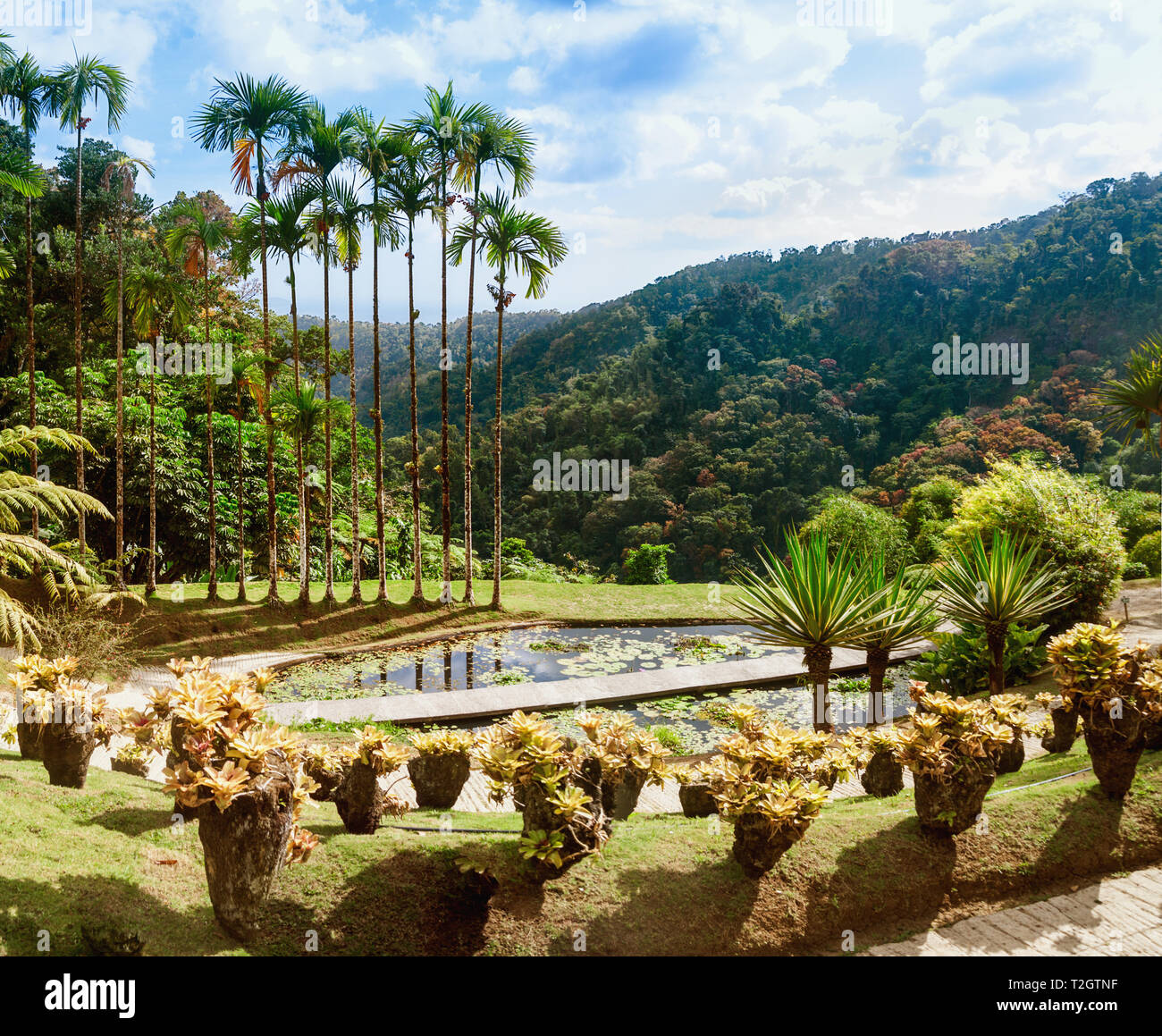 Balata botanic gardens hi-res stock photography and images - Alamy