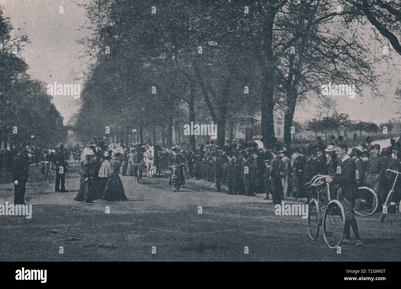 Rotten Row. - Hyde Park Stock Photo - Alamy