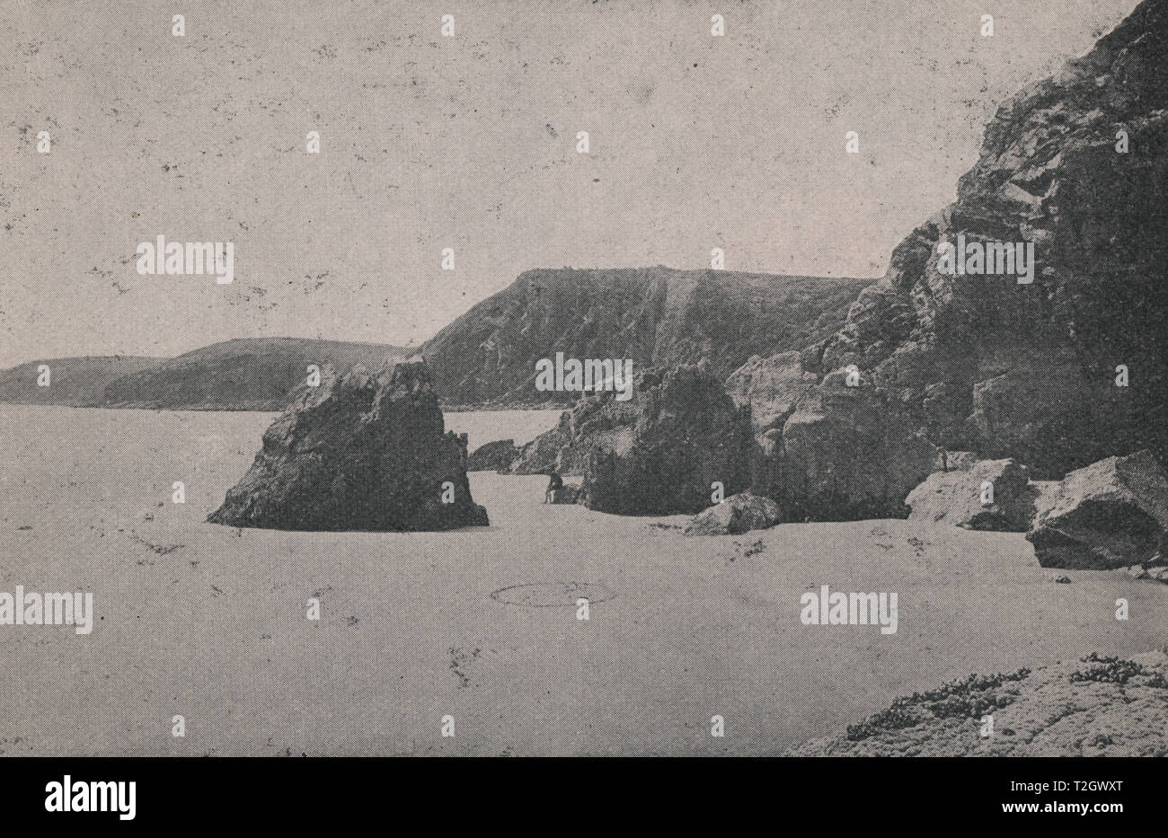 Monkstone hi-res stock photography and images - Alamy