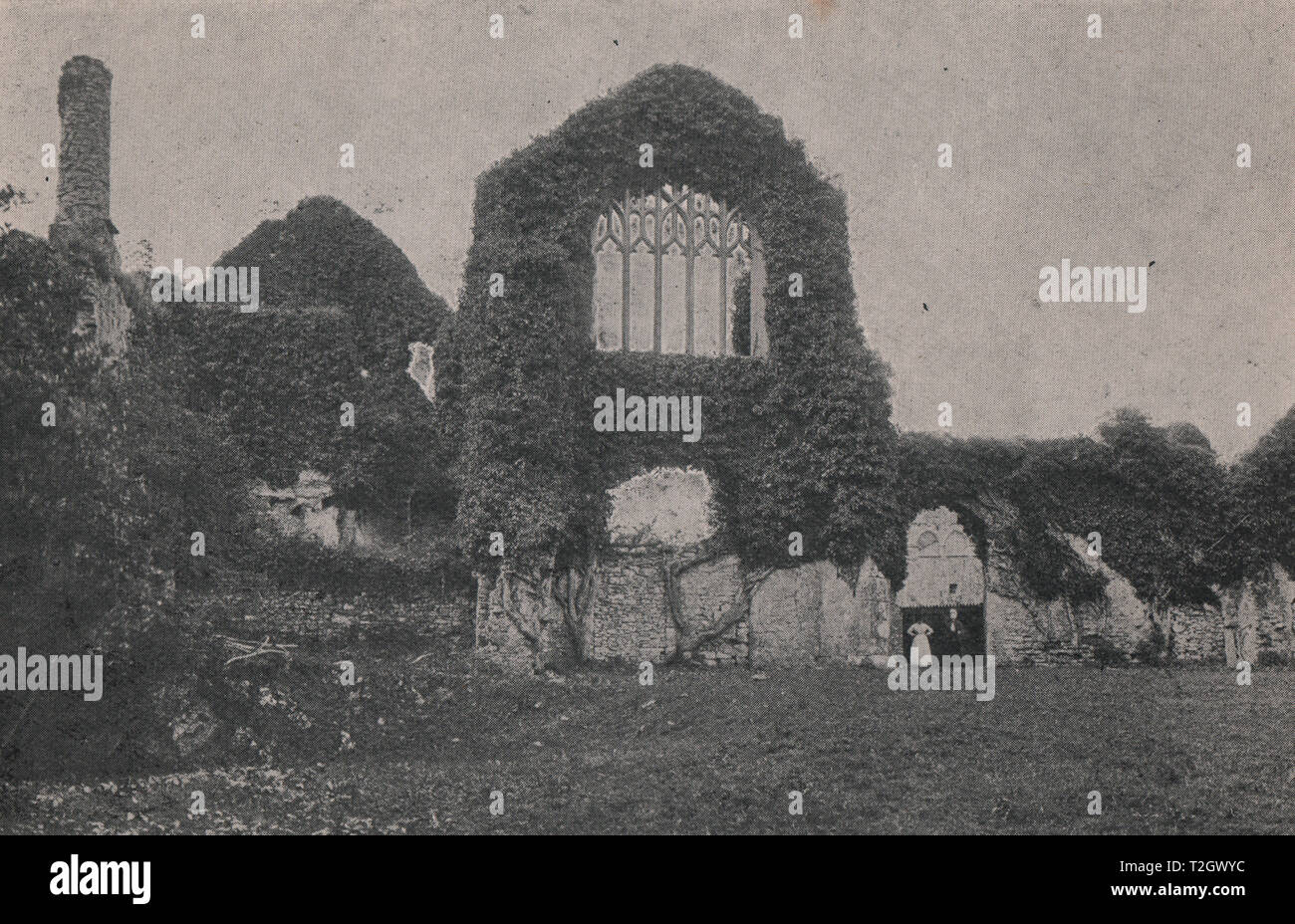 Lamphey hi-res stock photography and images - Alamy