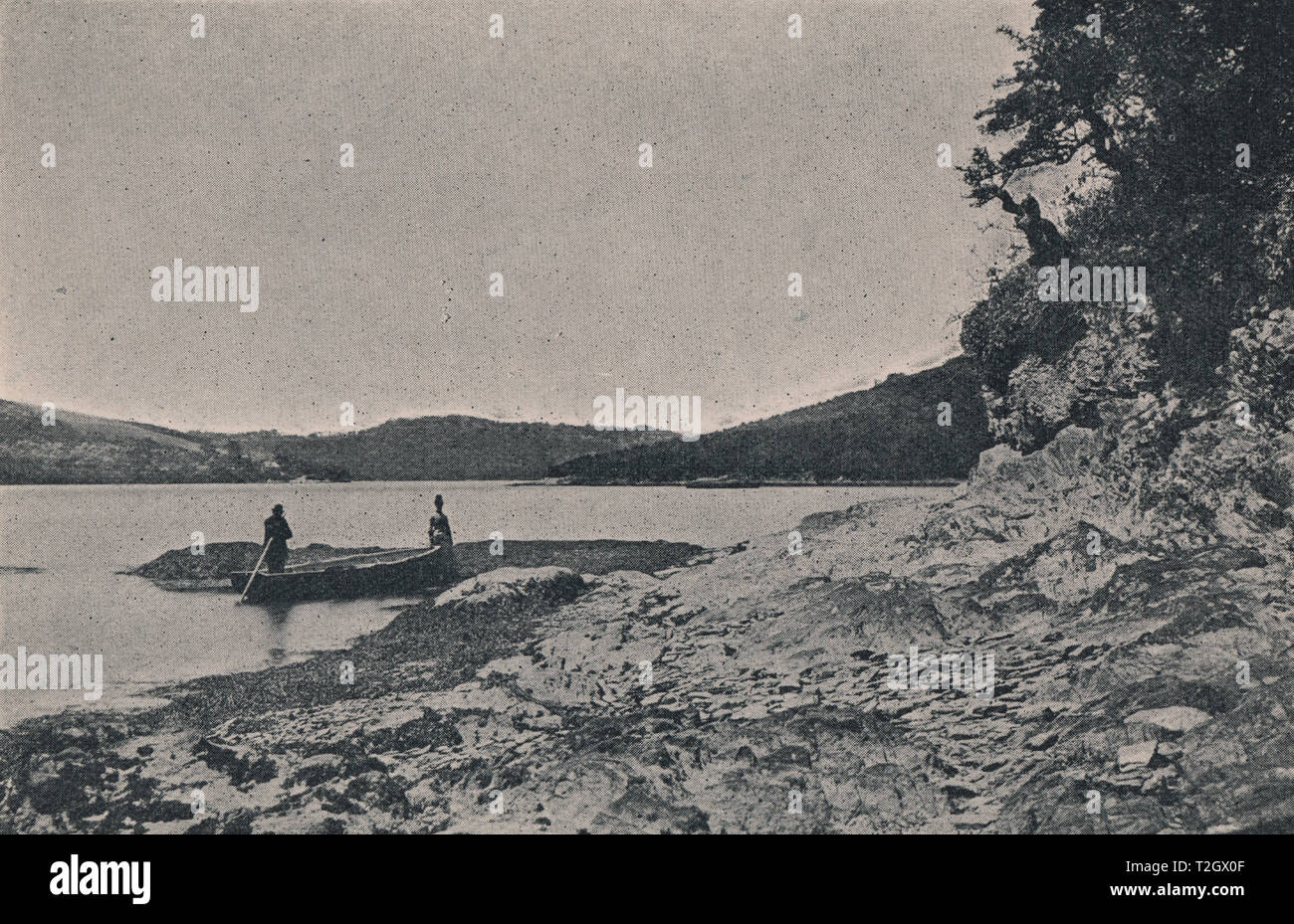 Tregothnan cornwall hi-res stock photography and images - Alamy