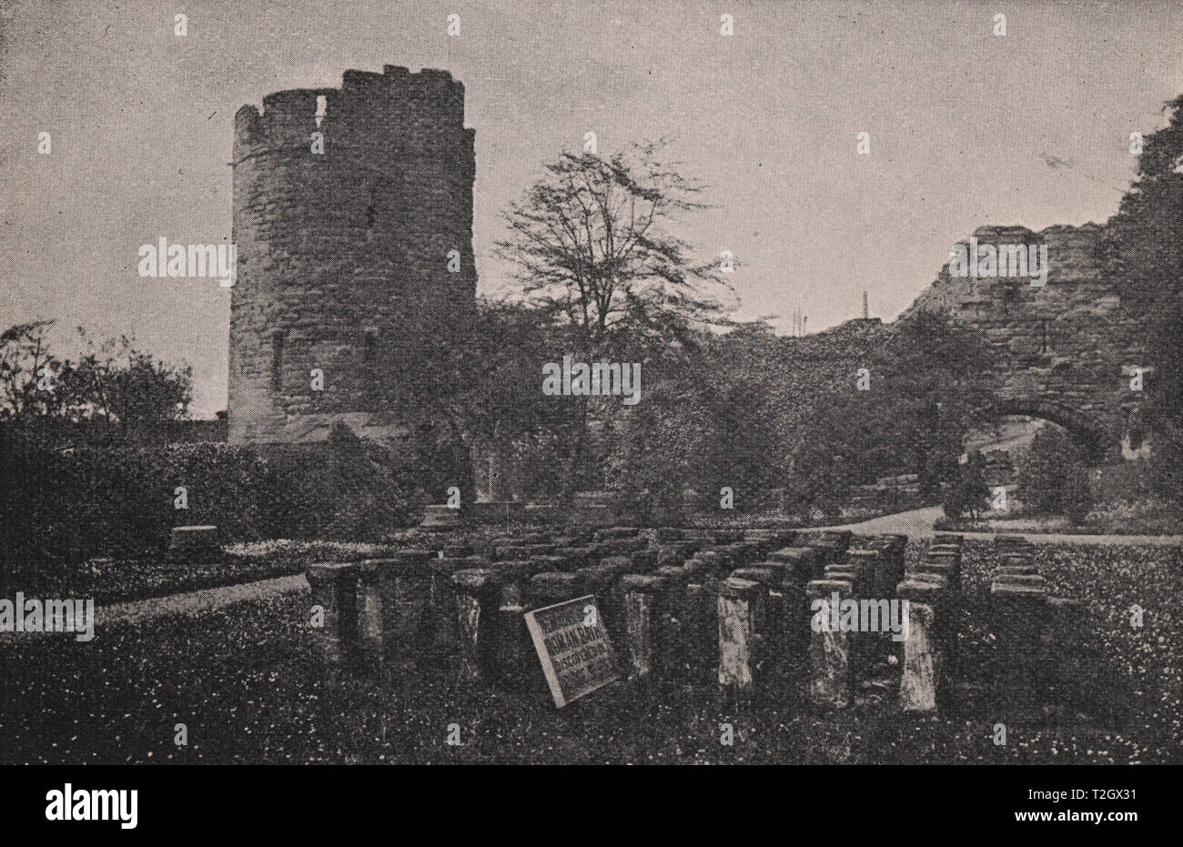 Museum Tower and Roman Bath - Chester Stock Photo - Alamy
