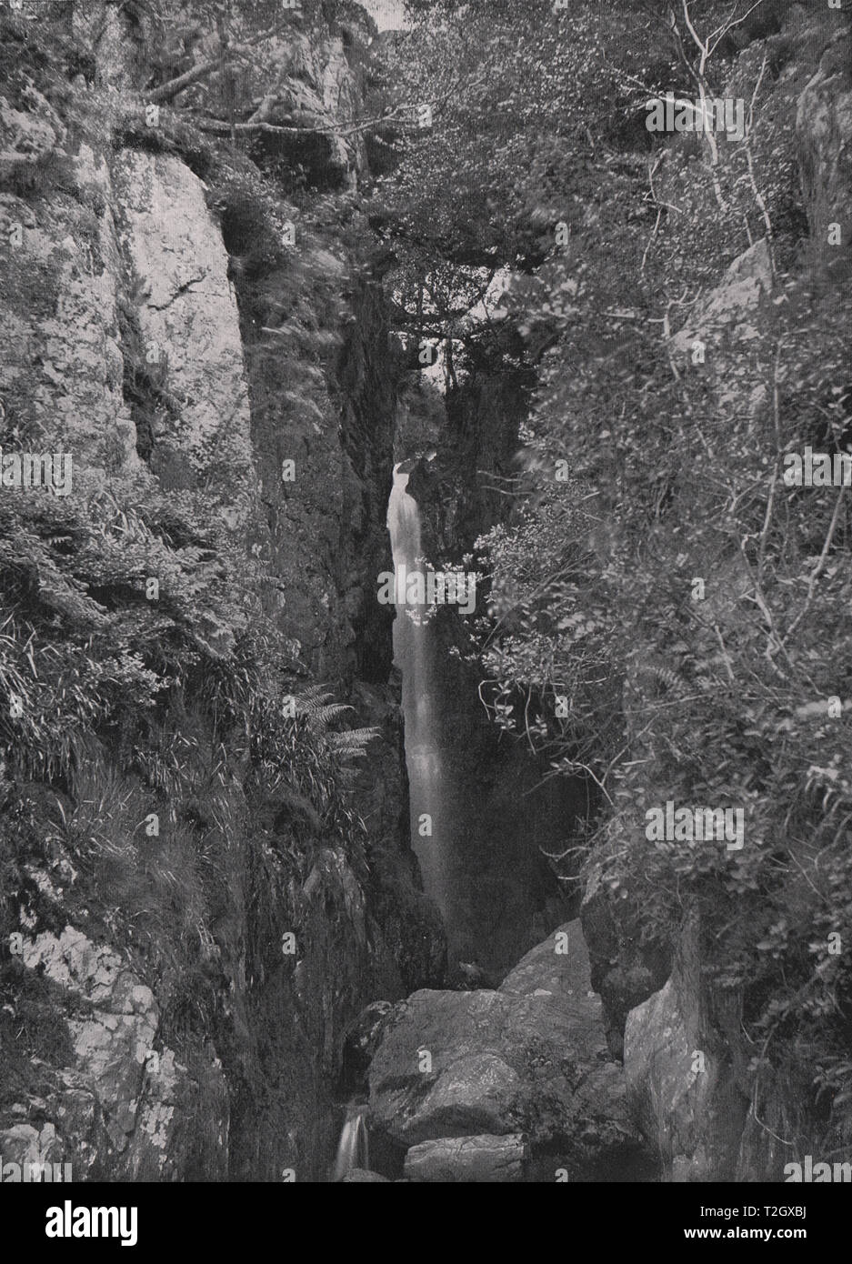 Ghyll hi-res stock photography and images - Alamy