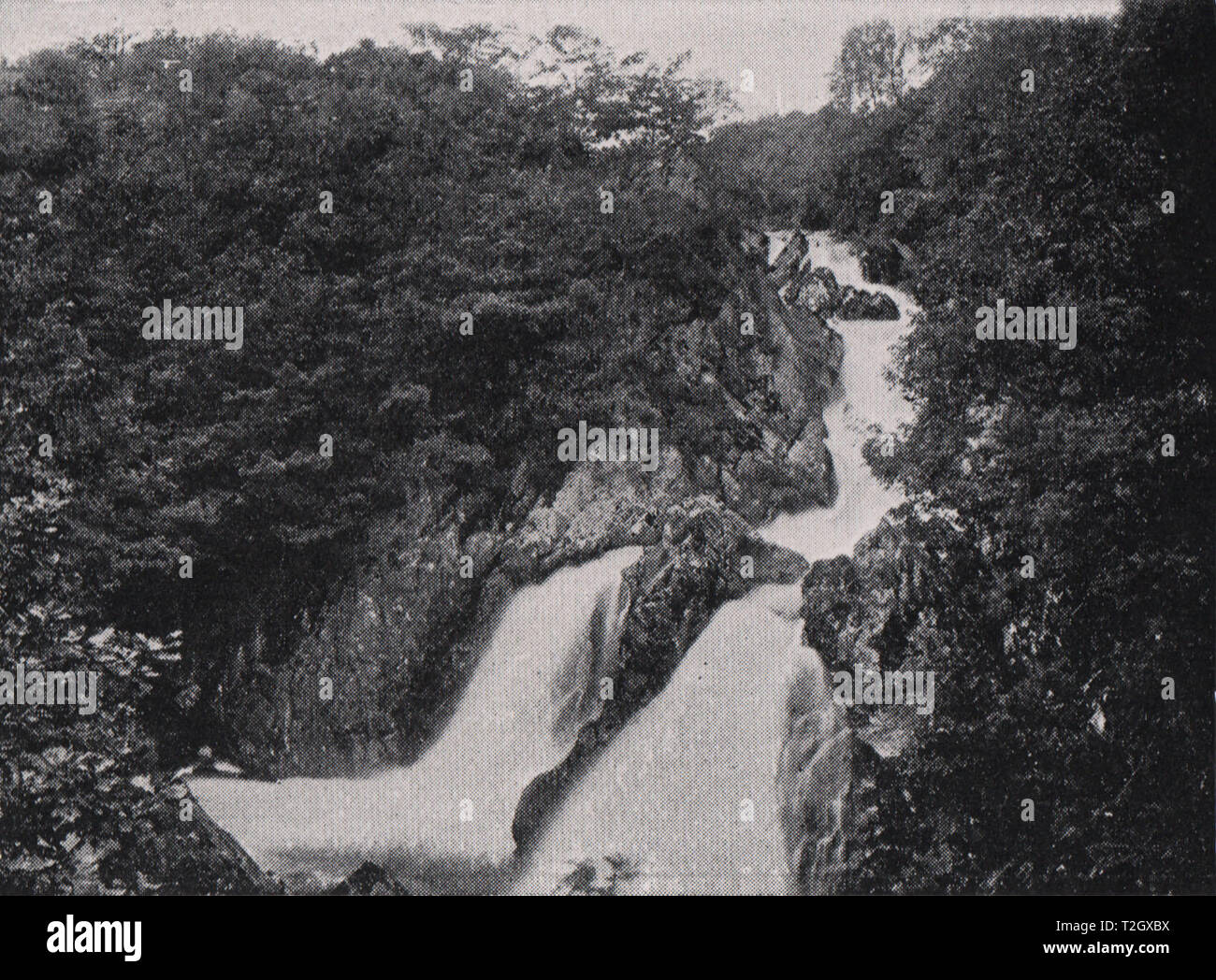 Colwith force lake district hi-res stock photography and images - Alamy